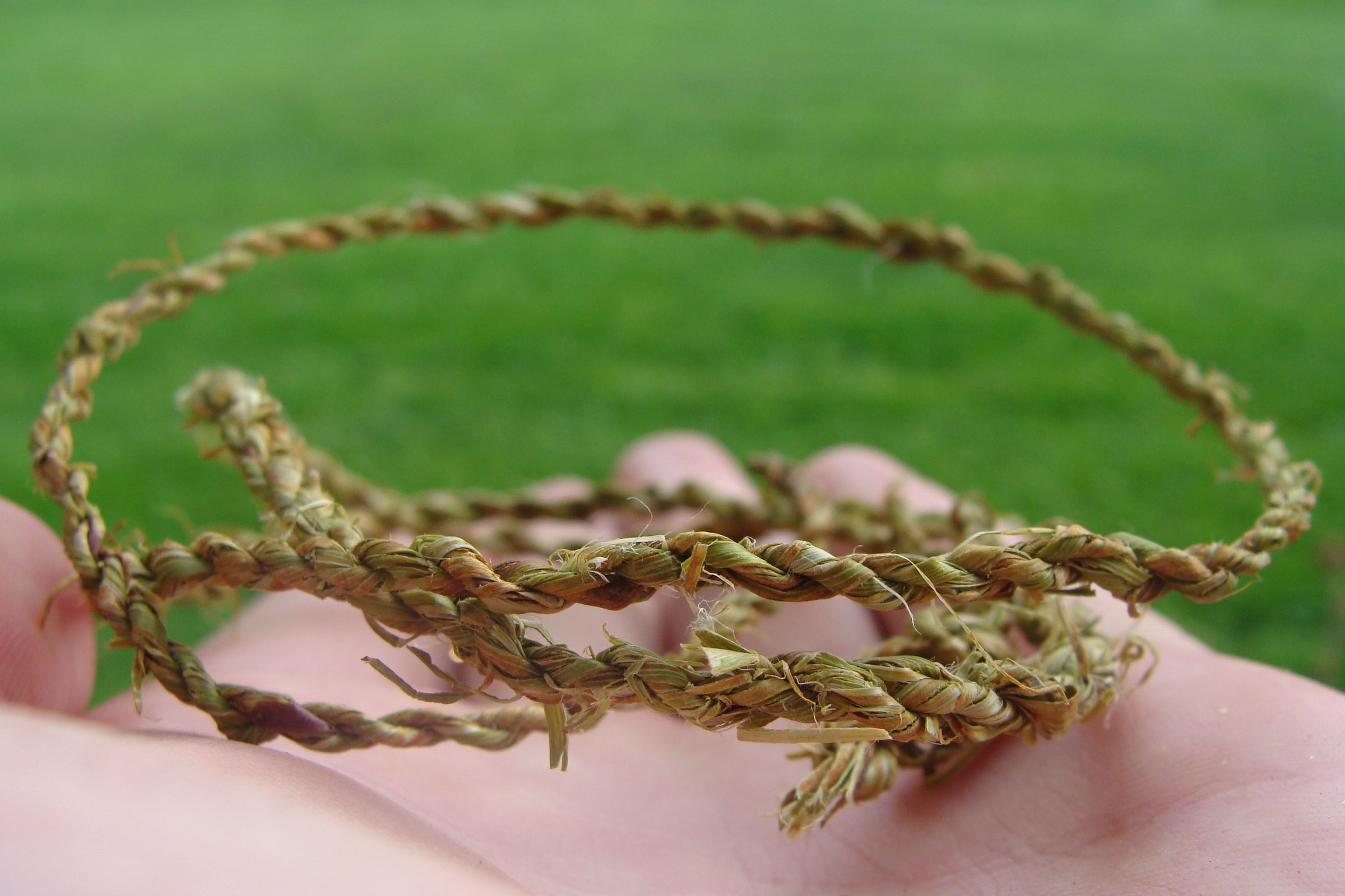 Natural Cordage : 7 Steps (with Pictures) - Instructables