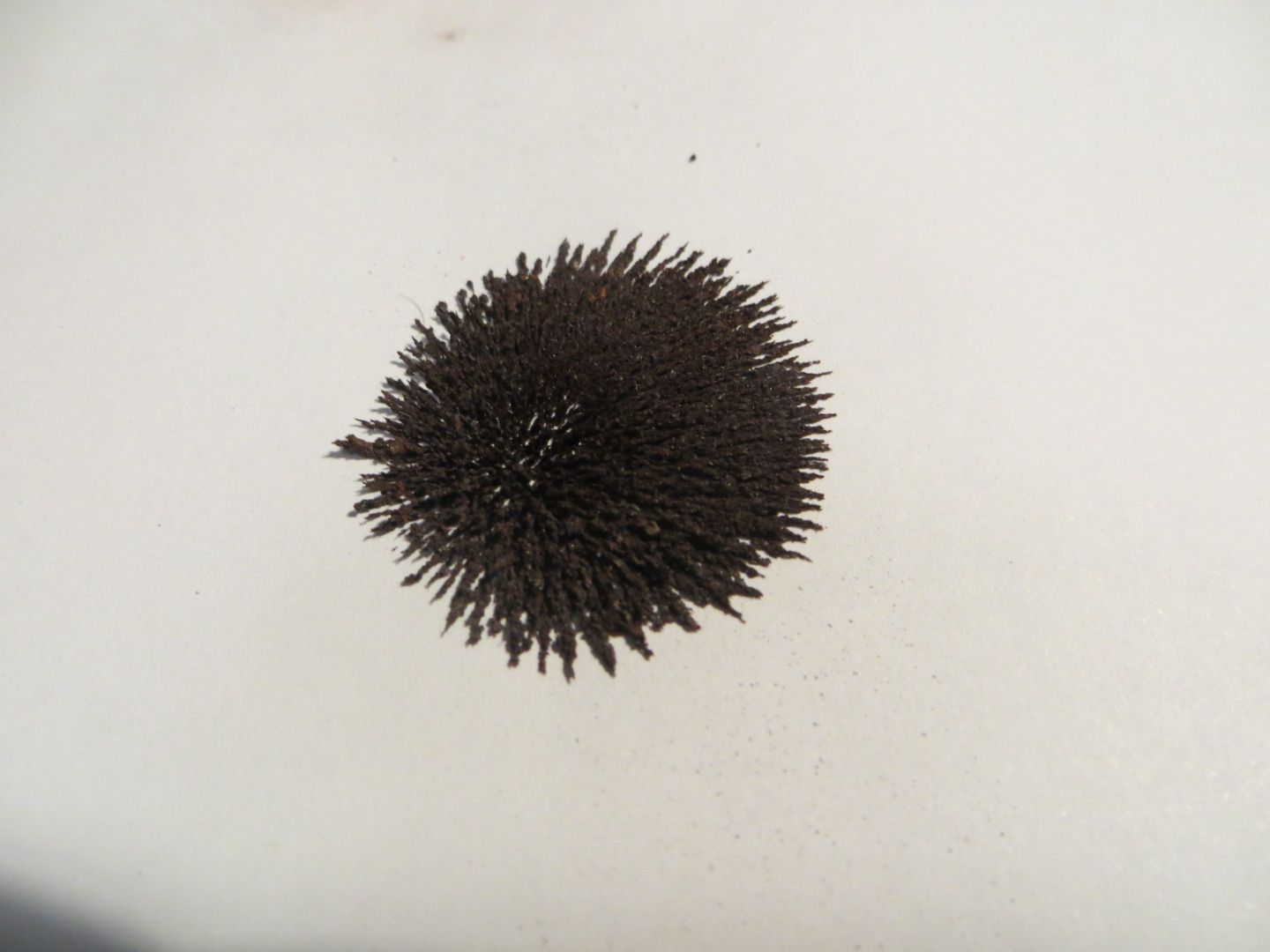 A Simple Protocol for Making Iron(II, III) Oxide (magnetite) : 10 Steps ...