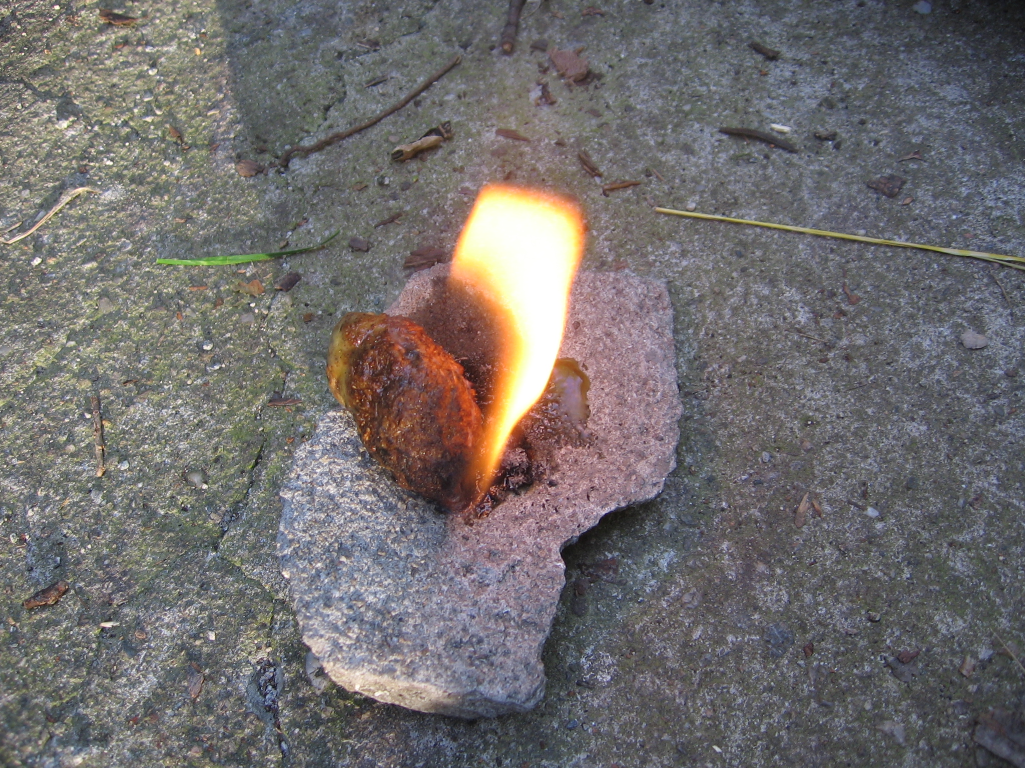 Waterproof Fire Starters - Instructables