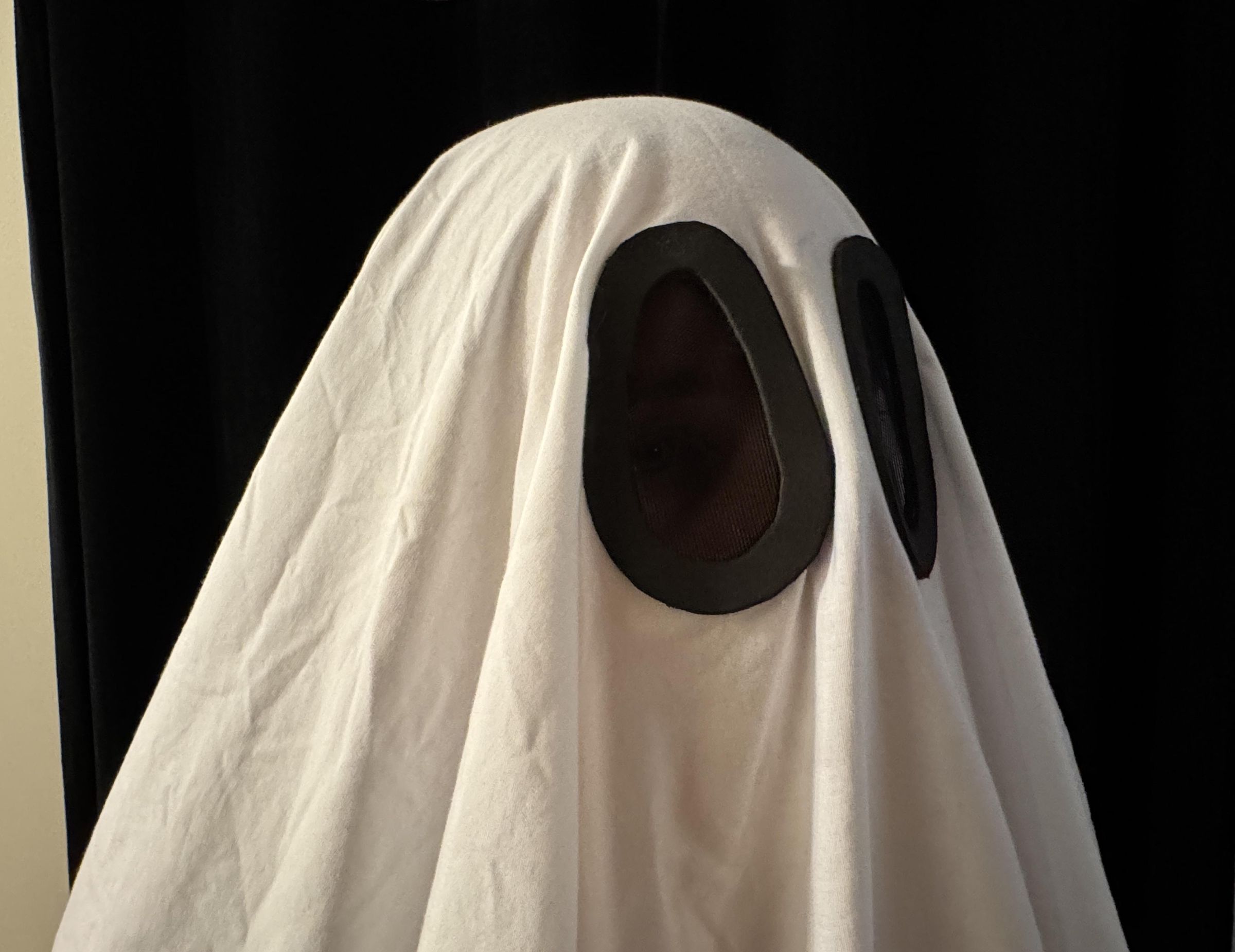 Sheet Ghost - Costume : 5 Steps (with Pictures) - Instructables