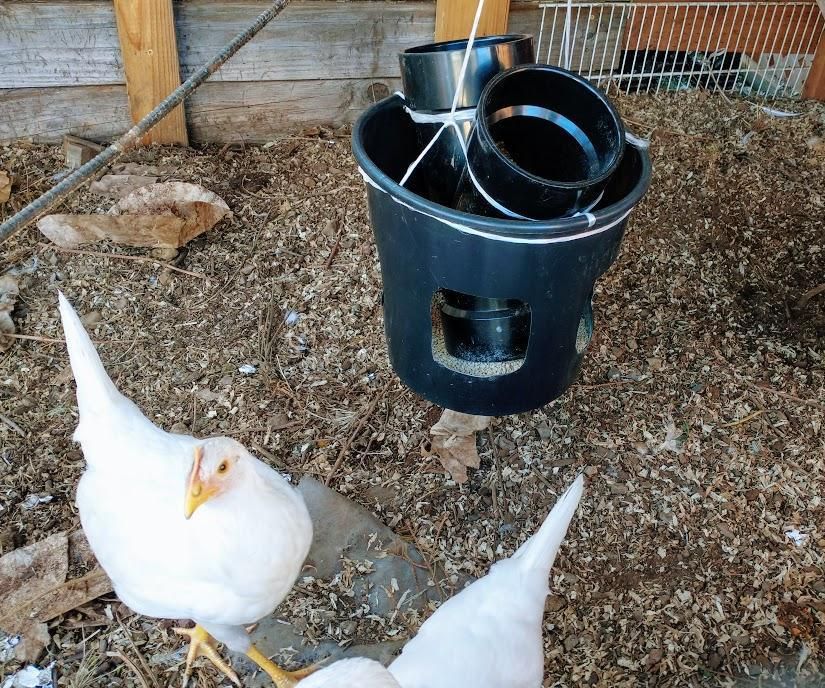 Hanging Chicken Feeder : 6 Steps (with Pictures) - Instructables