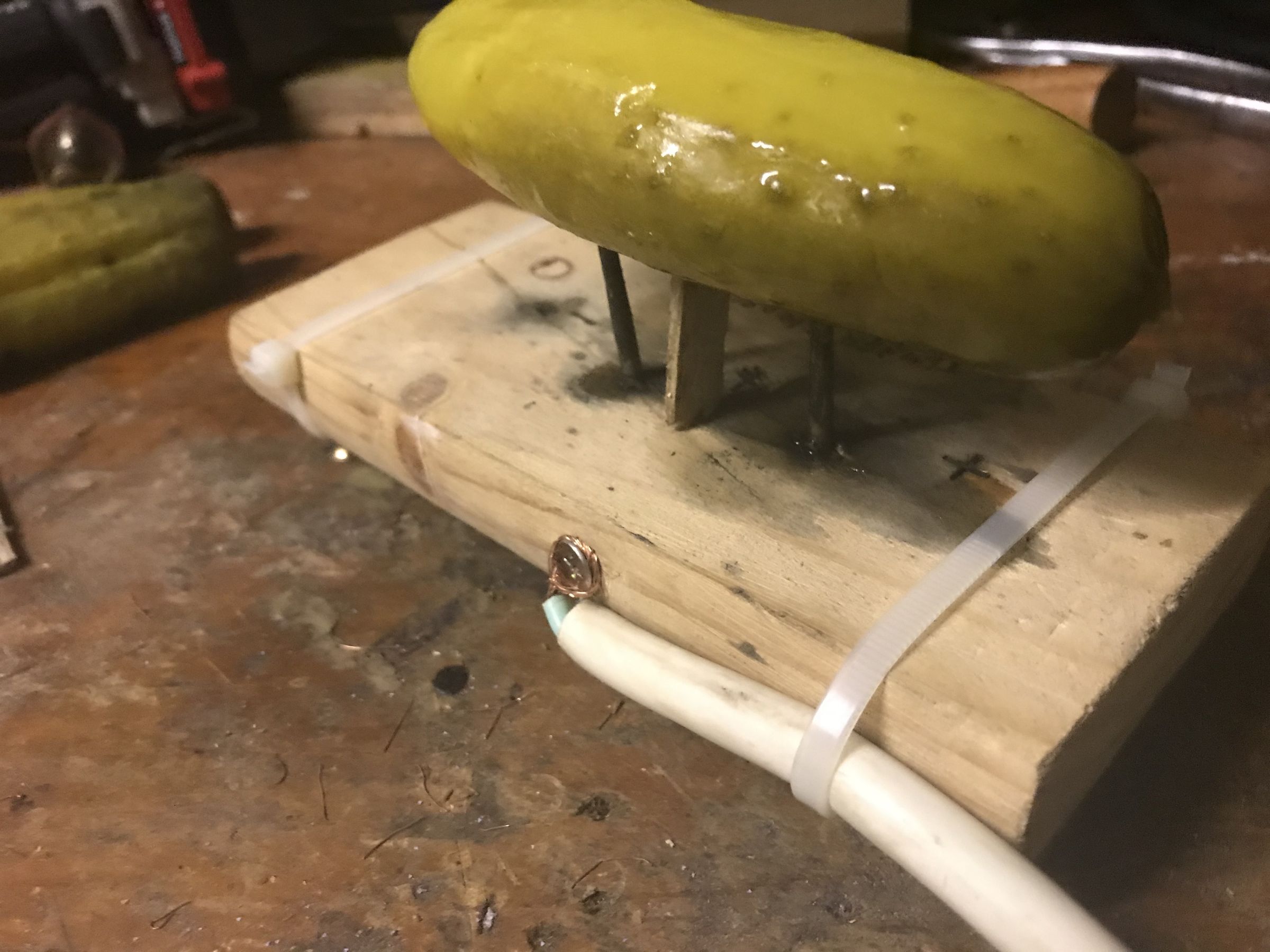 Glowing Pickle : 5 Steps - Instructables