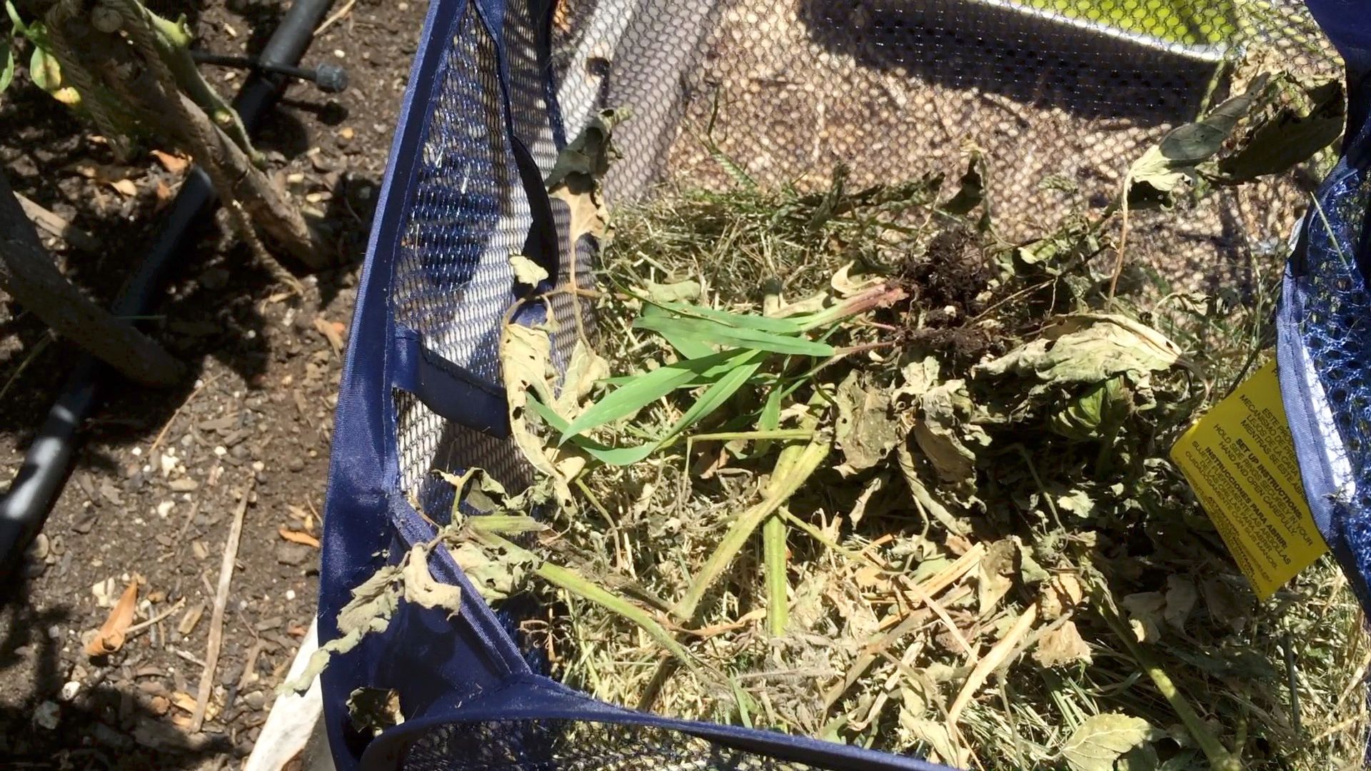 3 Ways to Use a Pop Up Hamper in the Garden : 3 Steps (with Pictures ...