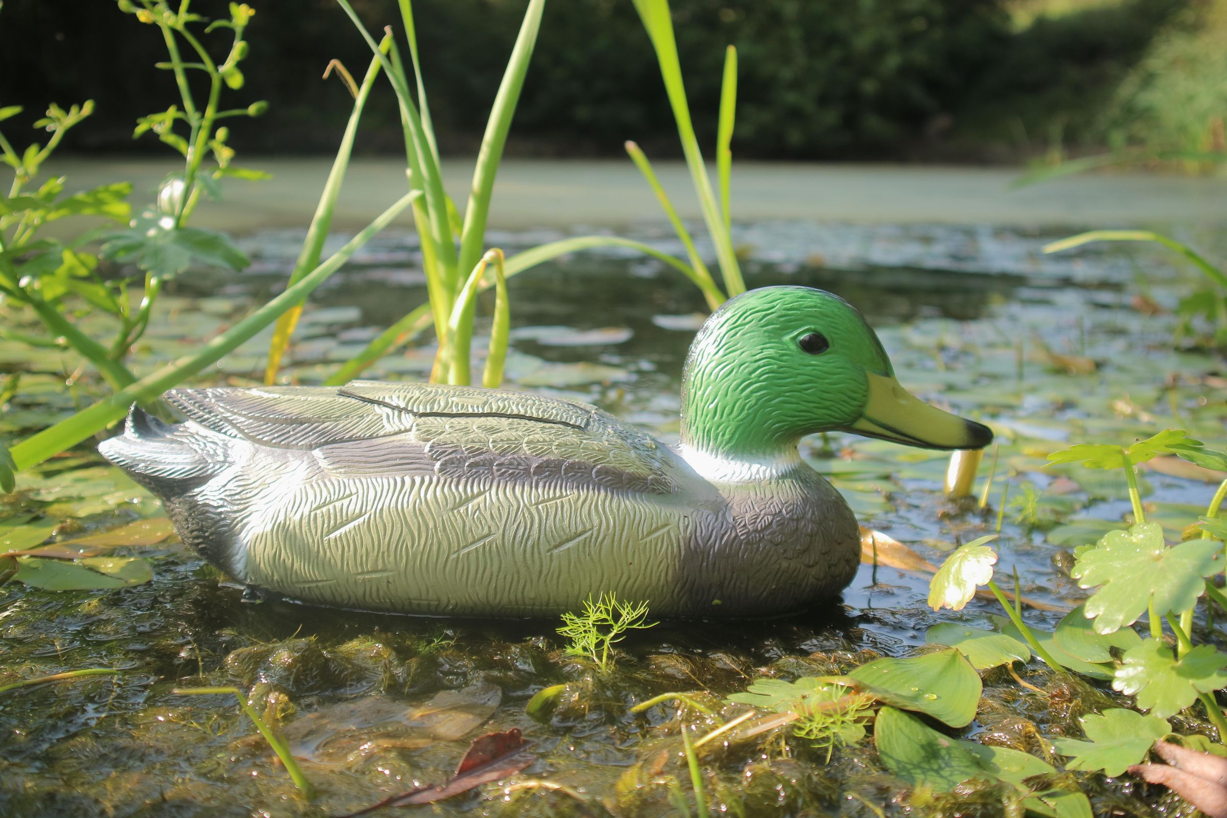 Jet Propelled Radio Controlled Duck : 10 Steps (with Pictures ...