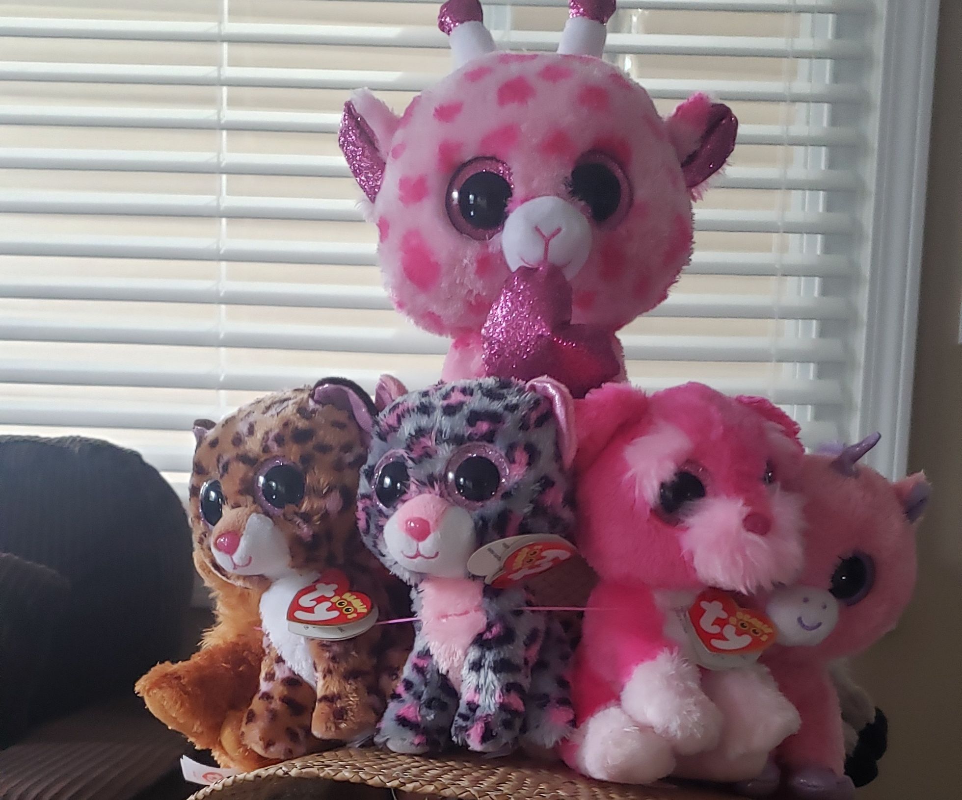 Ty Beanie Boo Hat : 6 Steps - Instructables