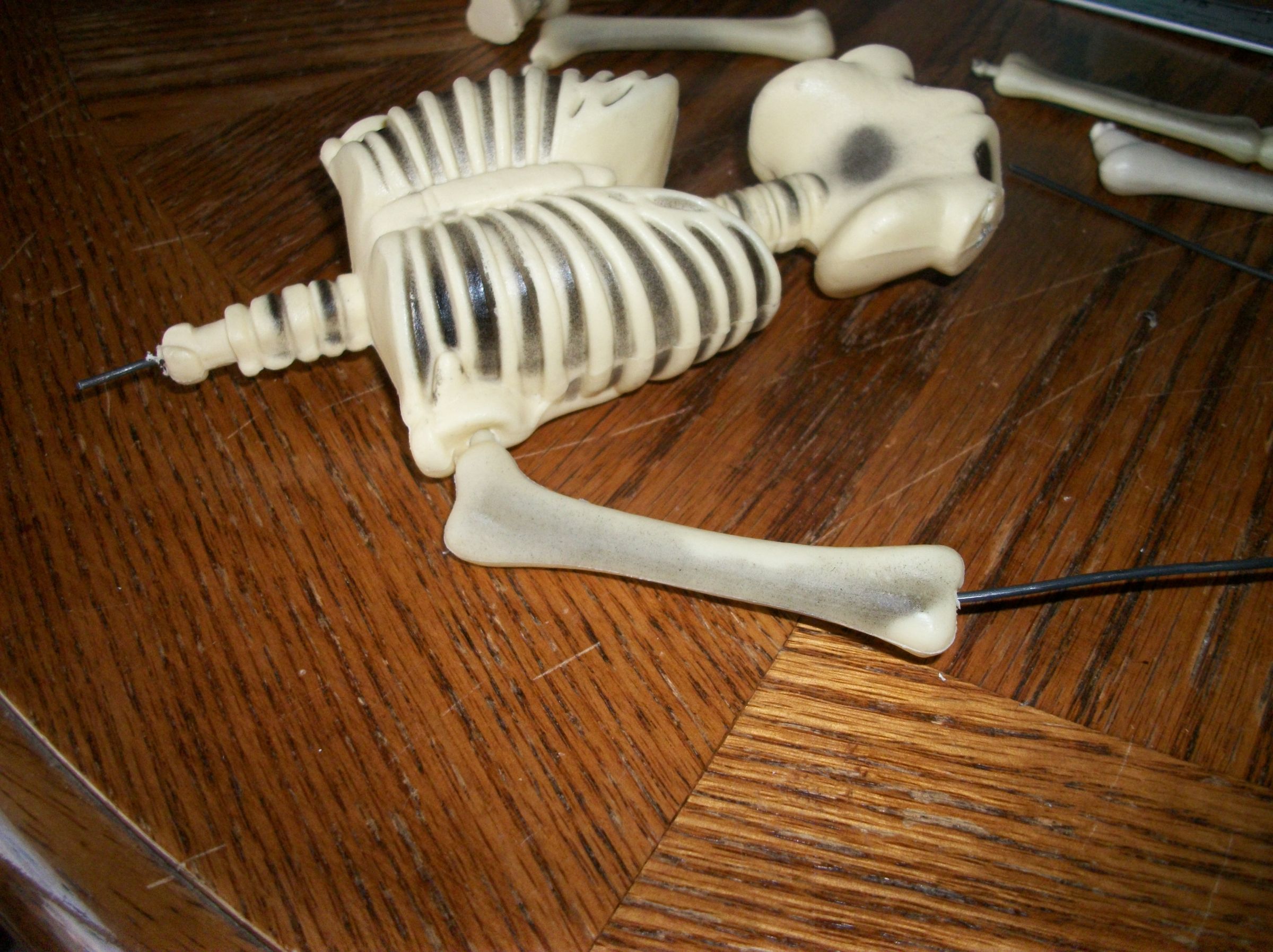 Posable Skelly : 5 Steps (with Pictures) - Instructables
