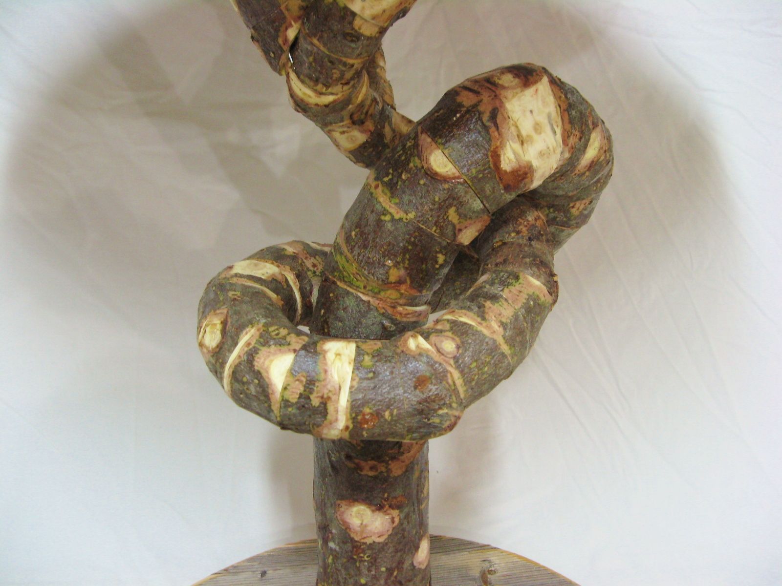 Knotted Tree Table (from Old Christmas Trees) : 10 Steps (with Pictures ...