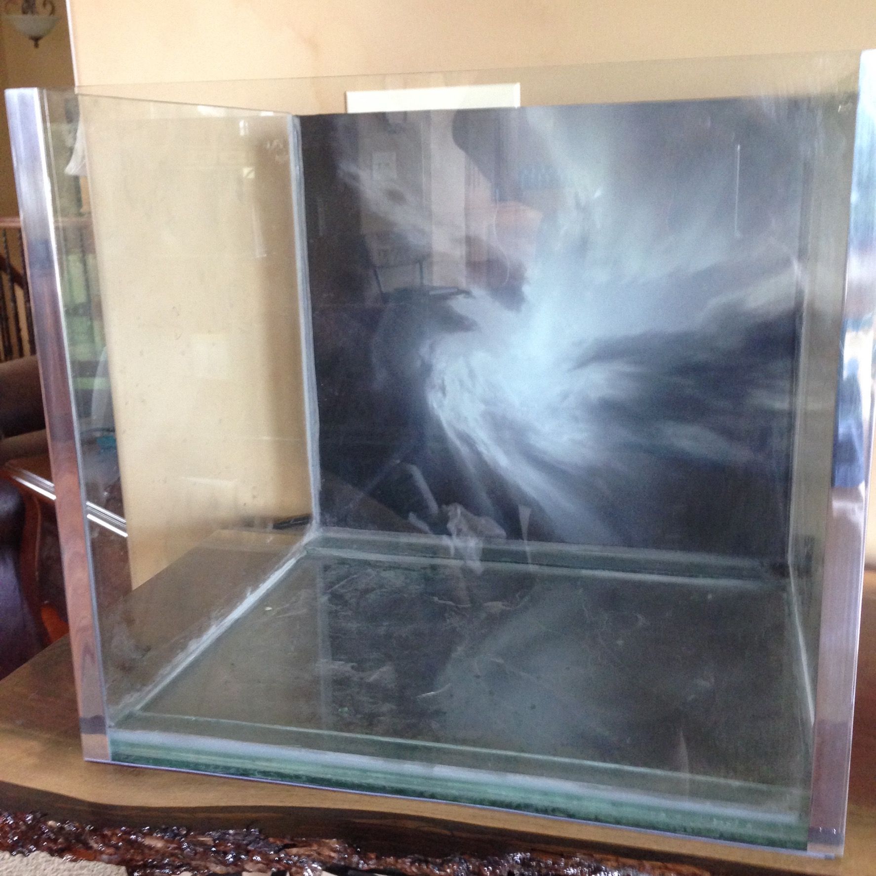 Dark and Eerie Fish Tank : 18 Steps (with Pictures) - Instructables
