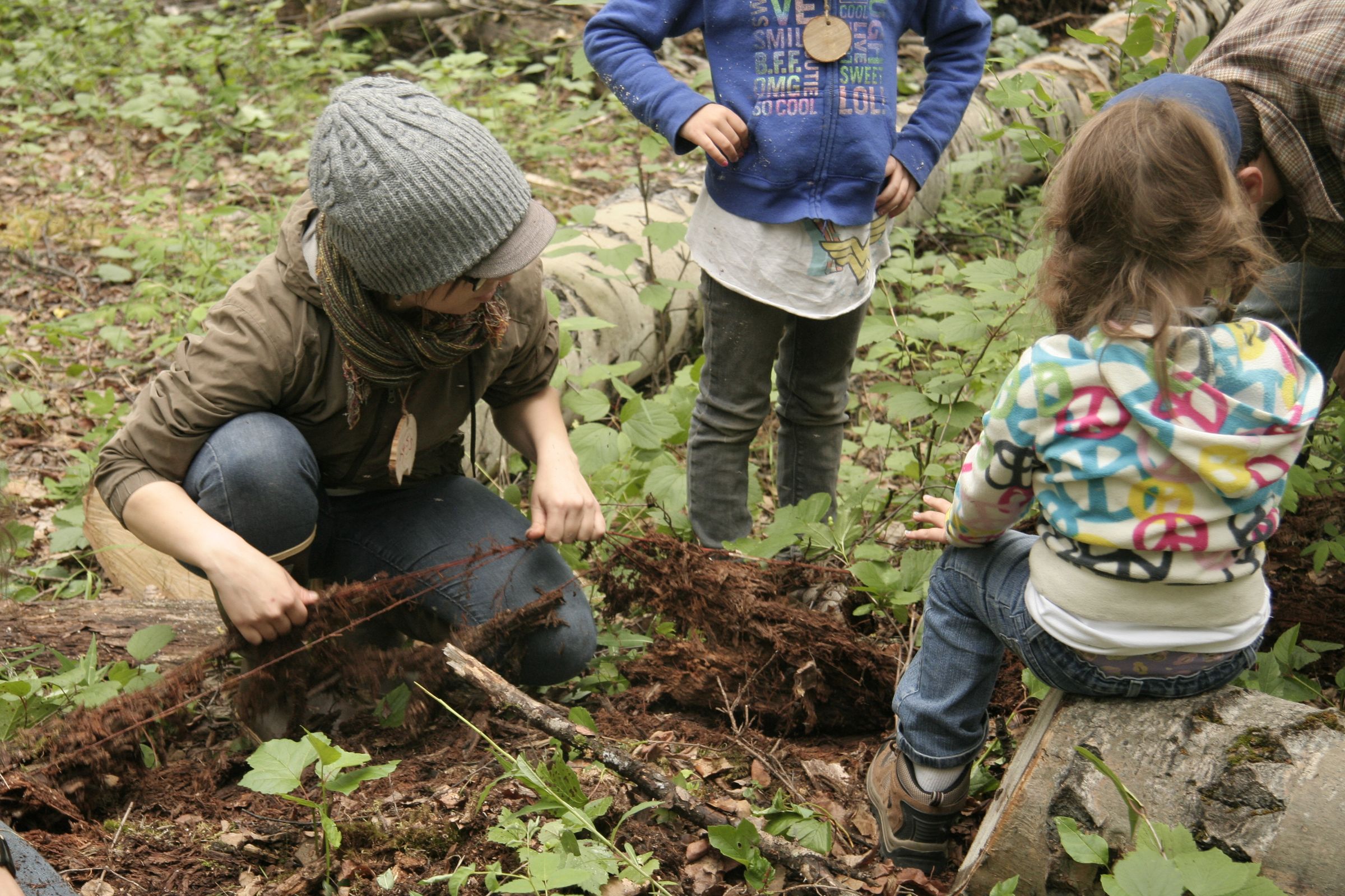 Harvesting Spruce Root : 7 Steps (with Pictures) - Instructables