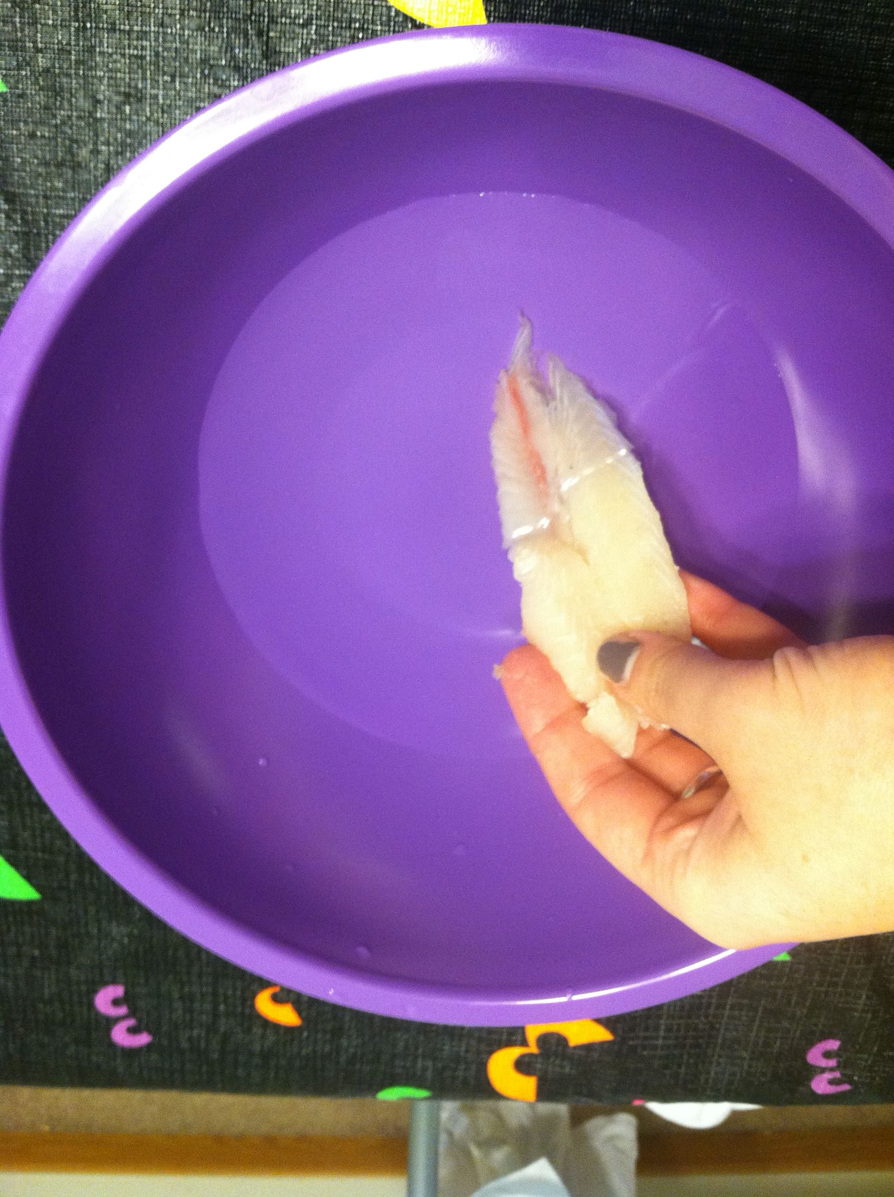 How to Clean a Fish : 6 Steps (with Pictures) - Instructables