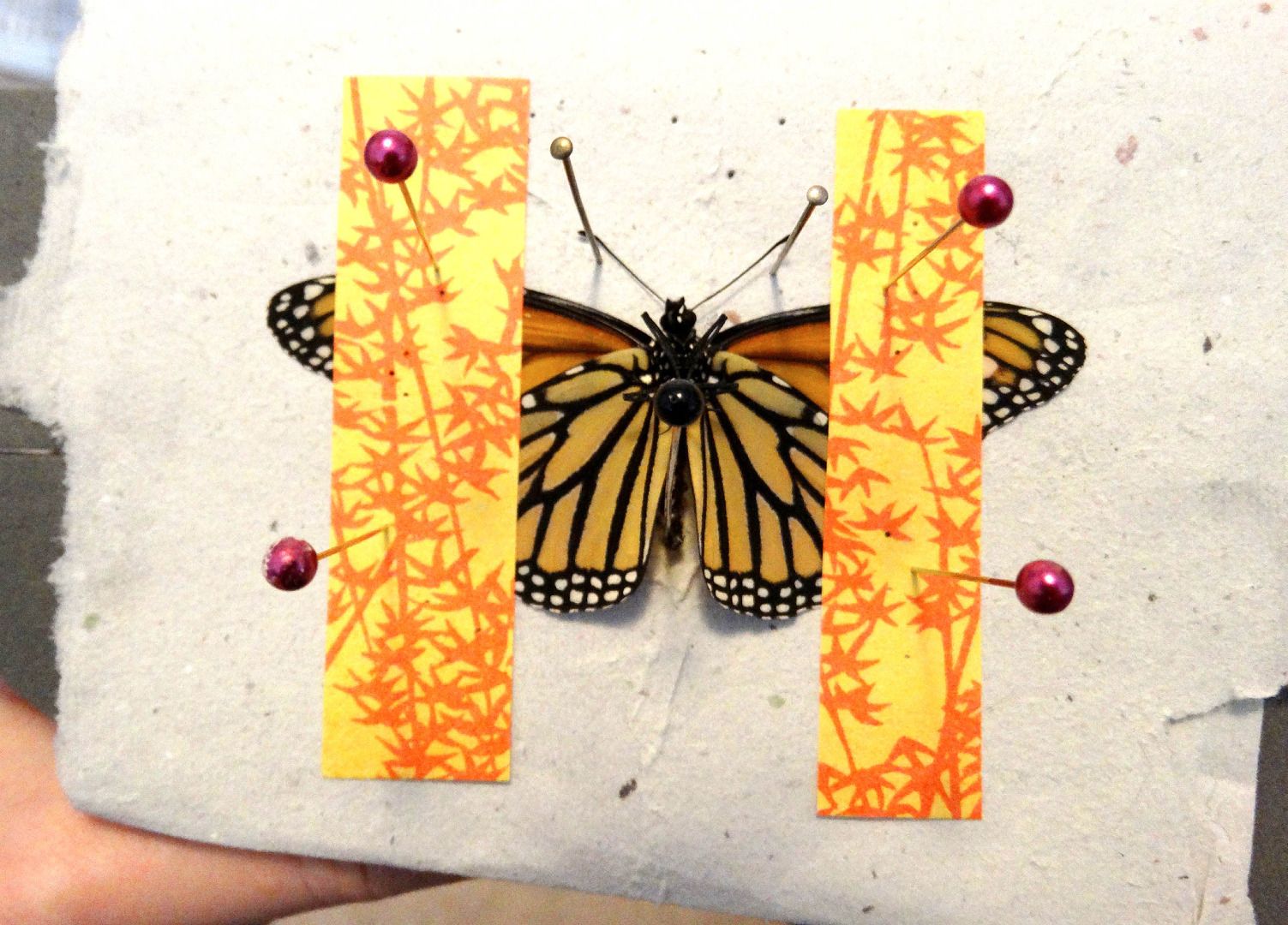 Preparing and Gilding a Real Insect : 10 Steps (with Pictures ...