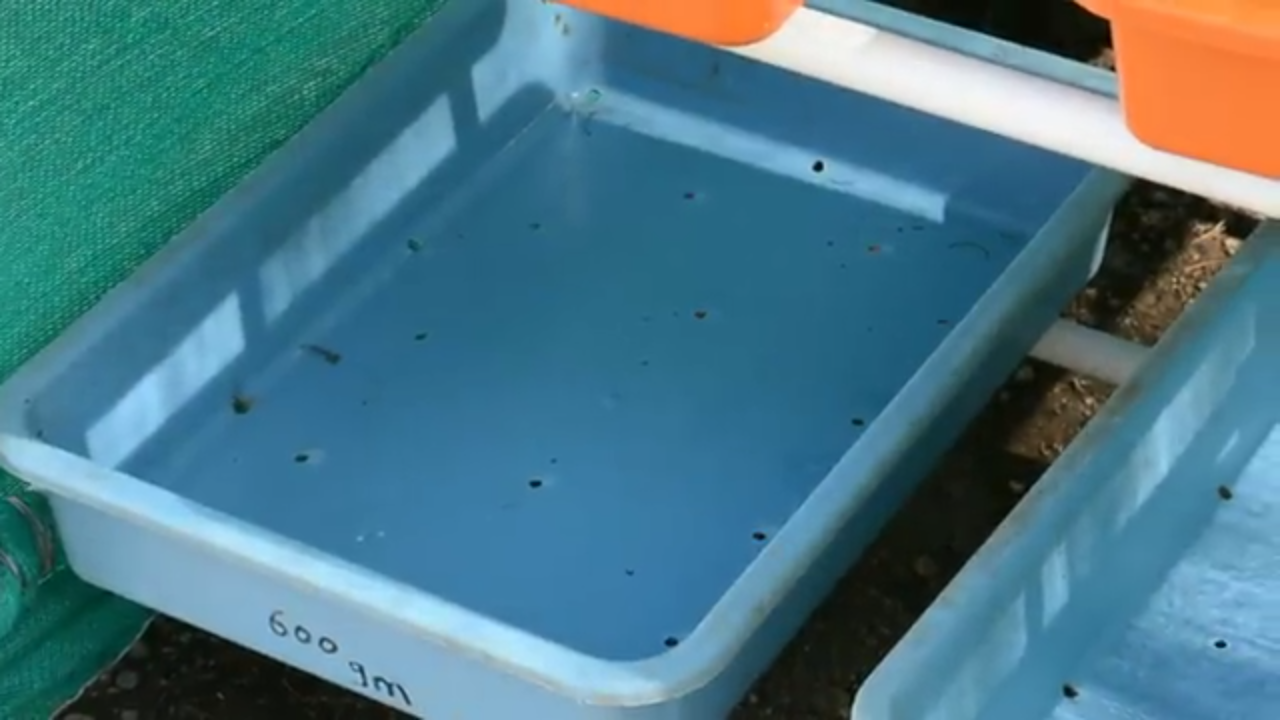 PVC Pipe Hydroponics Structure. : 5 Steps (with Pictures) - Instructables