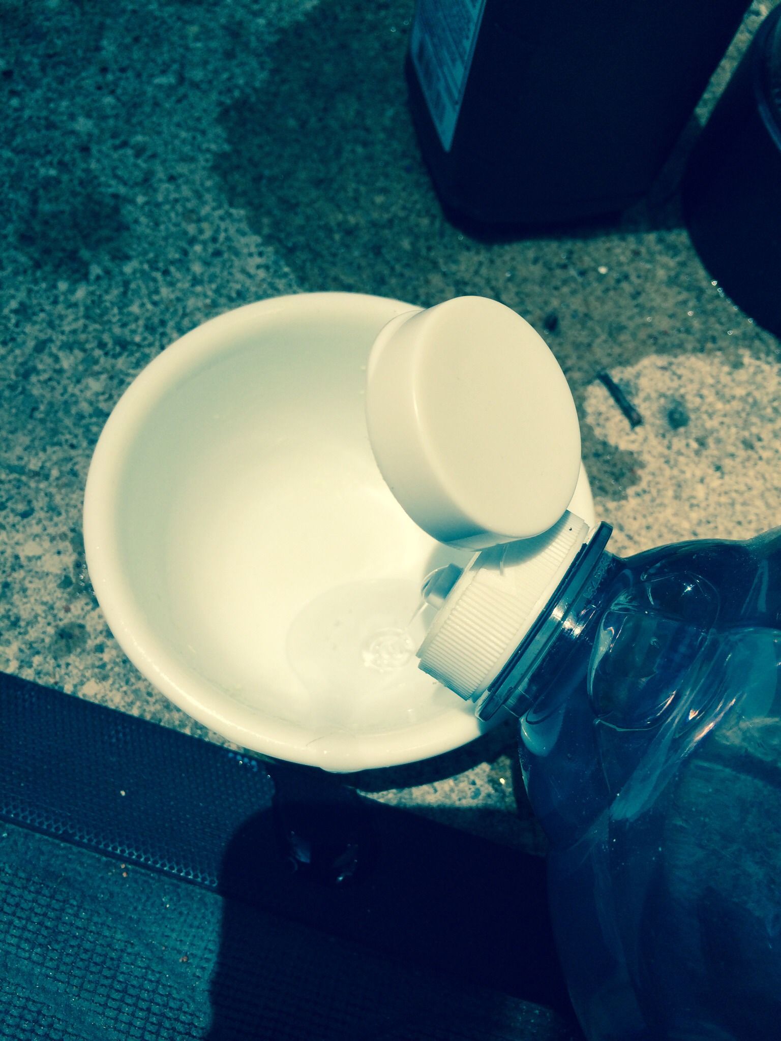 Hydrogen Peroxide Backyard Experiment : 5 Steps - Instructables