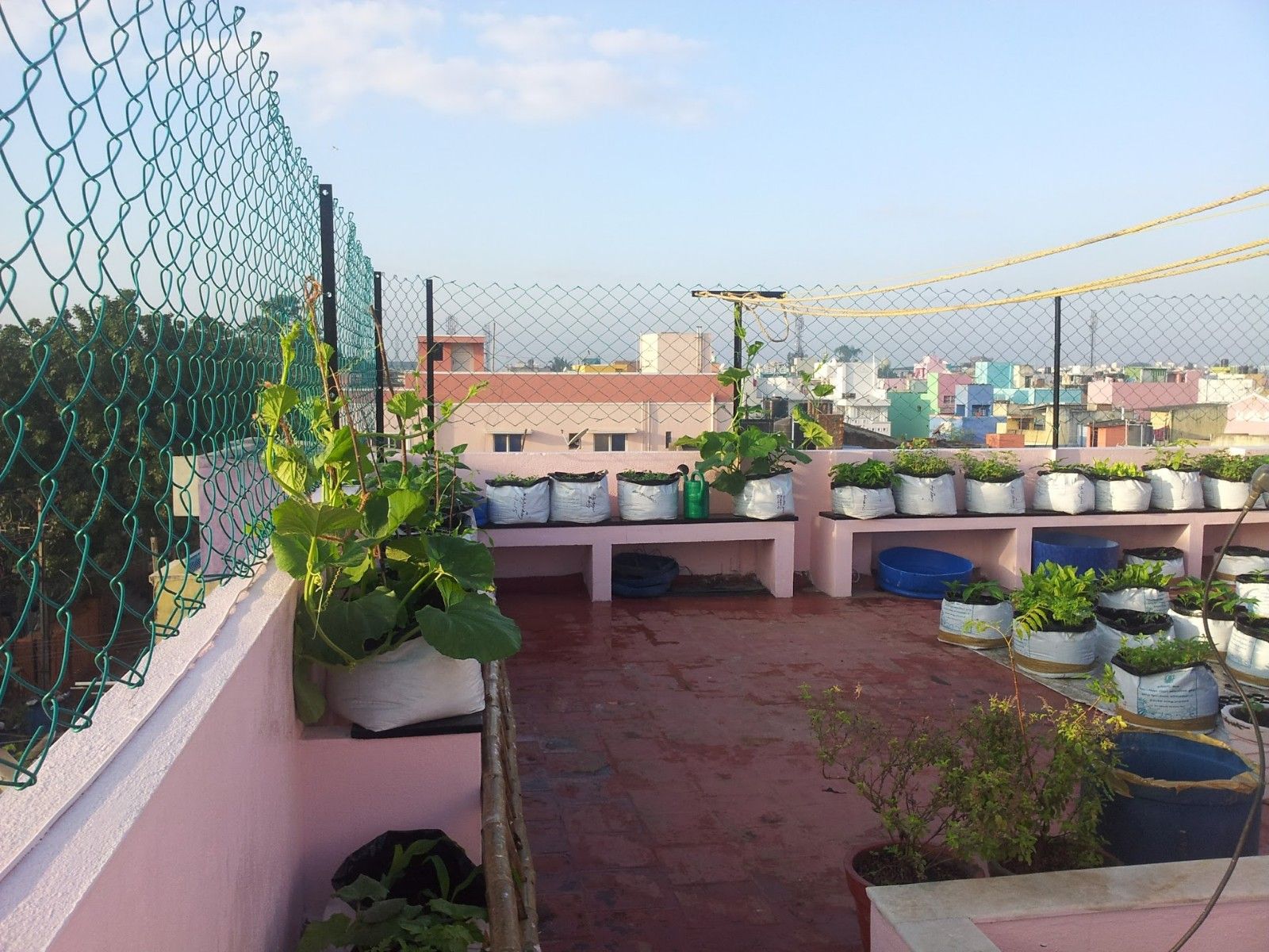 Roof Gardening : 21 Steps (with Pictures) - Instructables