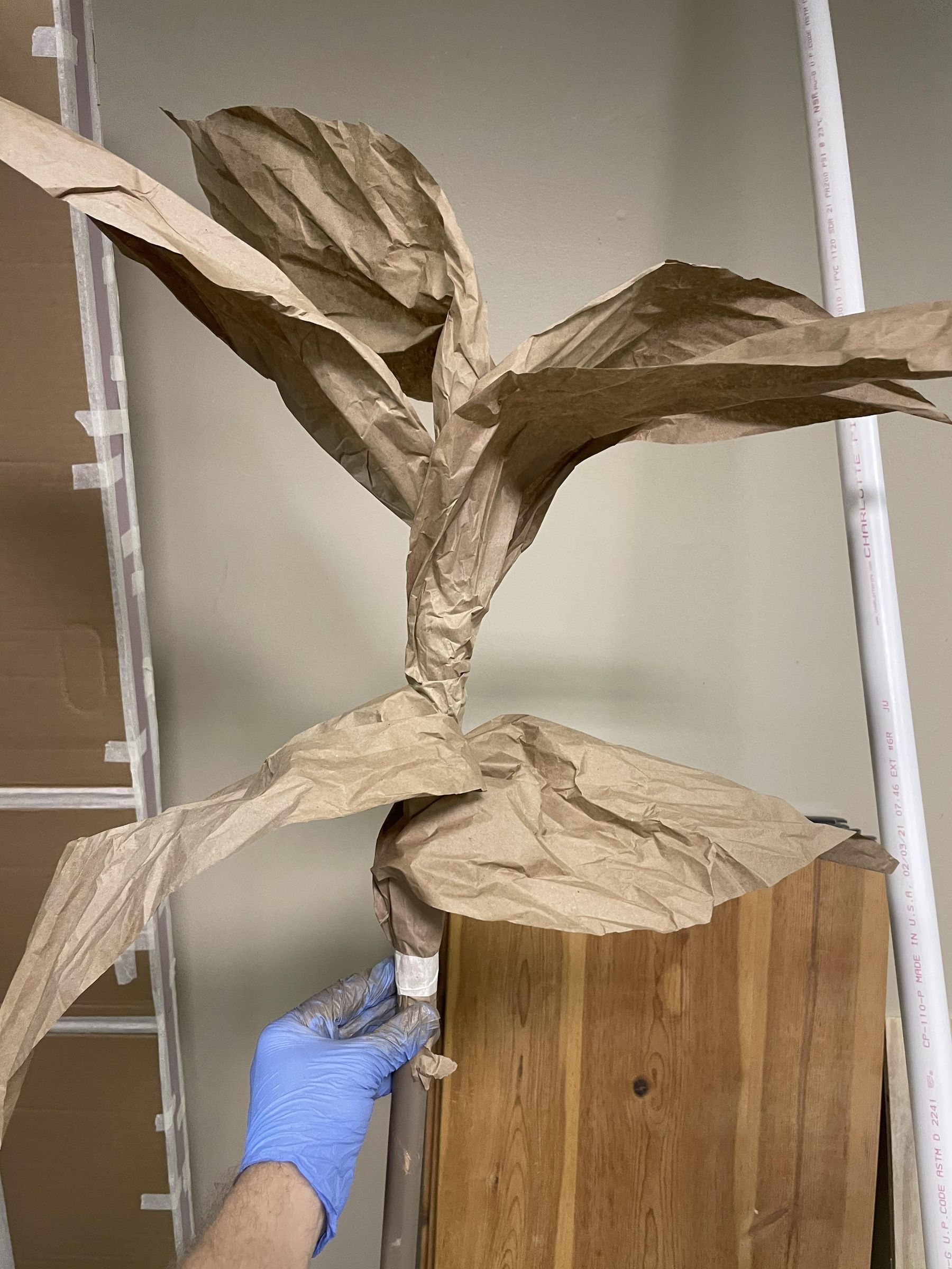 DIY Halloween Cornstalks : 4 Steps (with Pictures) - Instructables