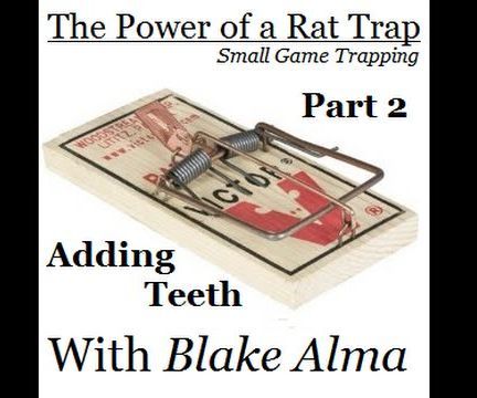 Small Game Trapping, Part 2 - Instructables