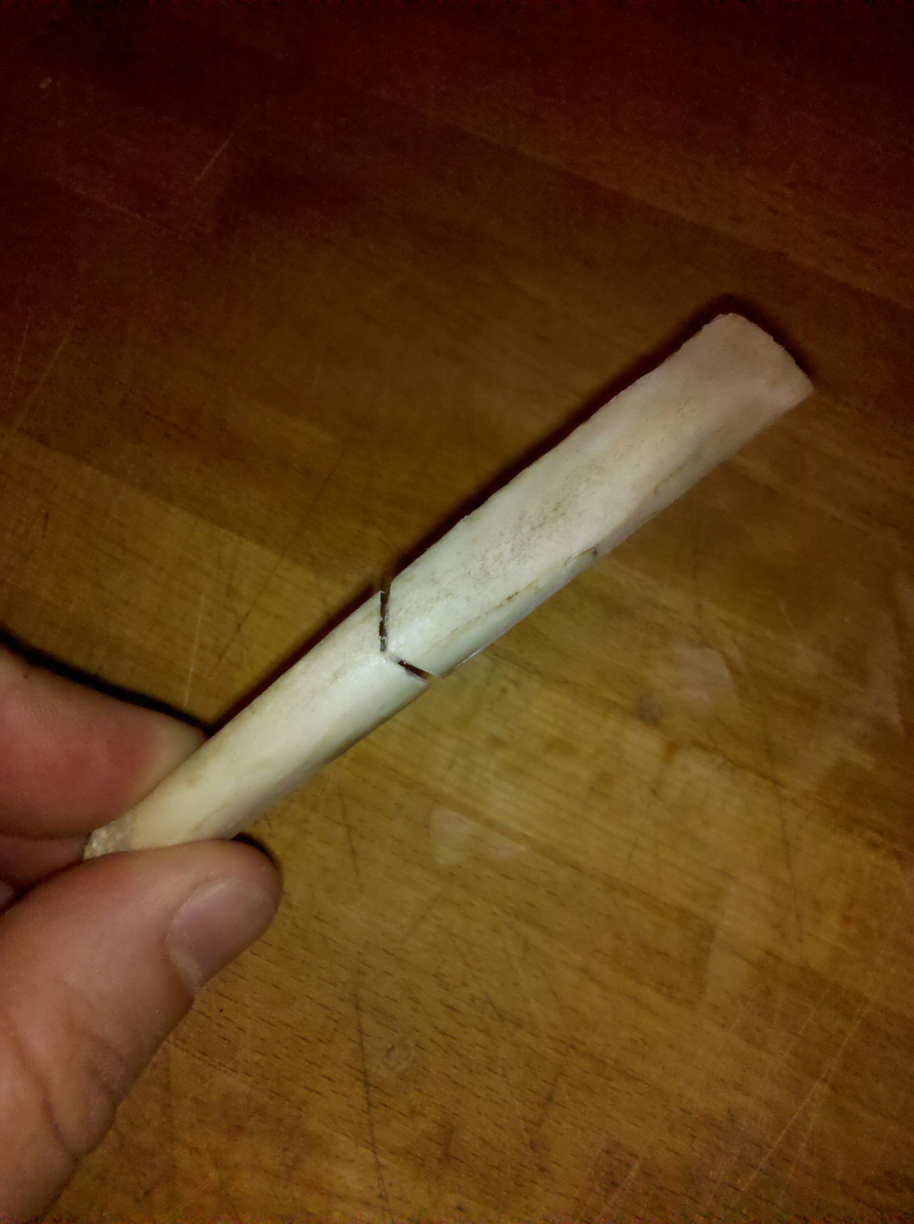 Carve a Bone Needle for Naalbinding : 6 Steps - Instructables