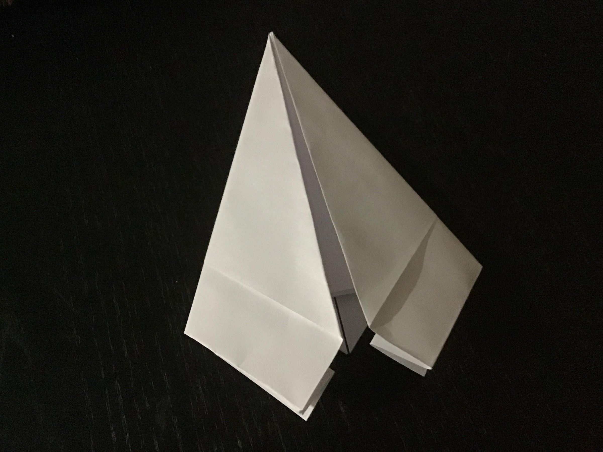 F-14 Tomcat Paper Airplane (Medium) Flies 9-17 Feet With Slide on ...