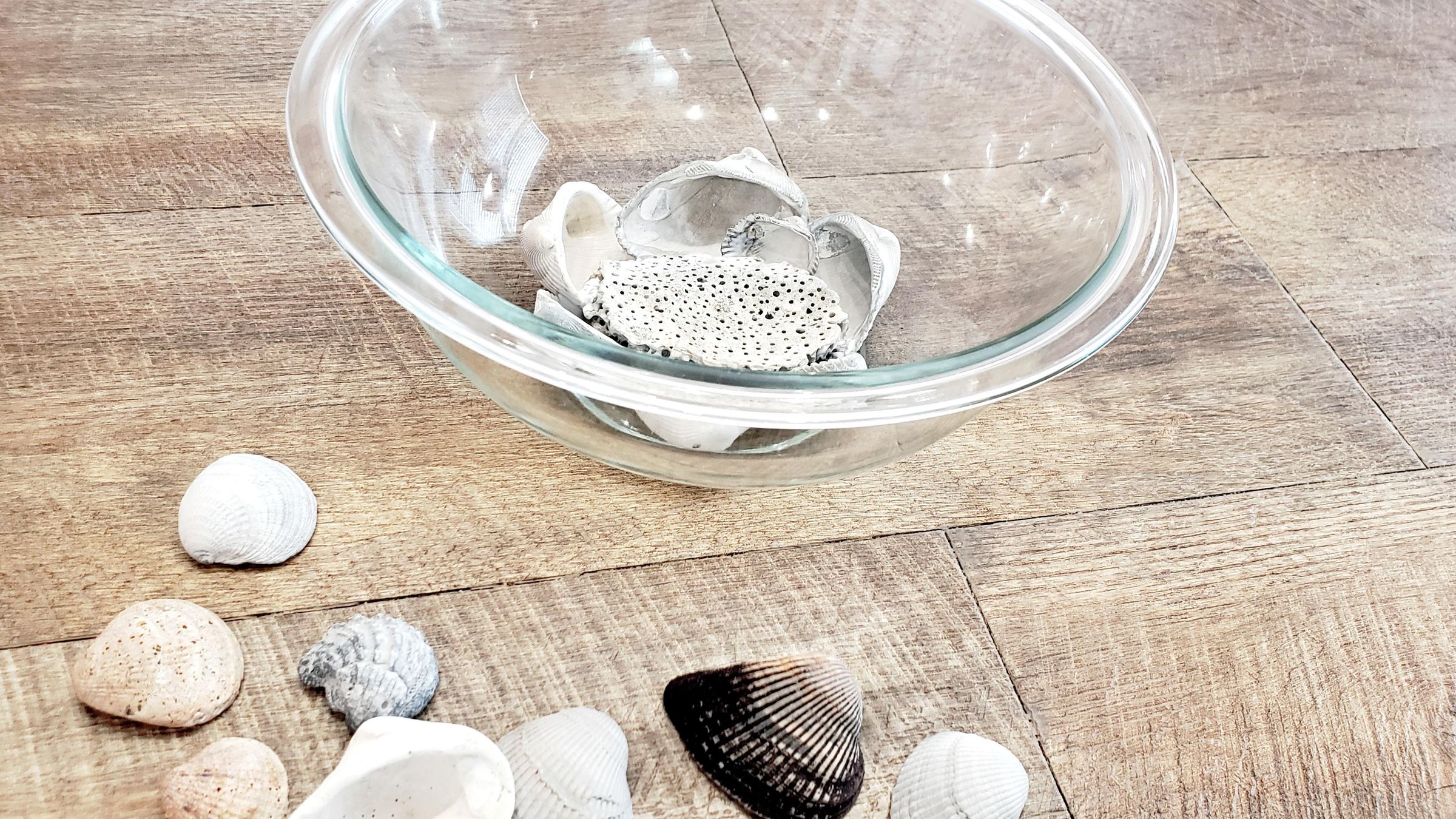 Vacation Memento Shell Bowl : 4 Steps (with Pictures) - Instructables
