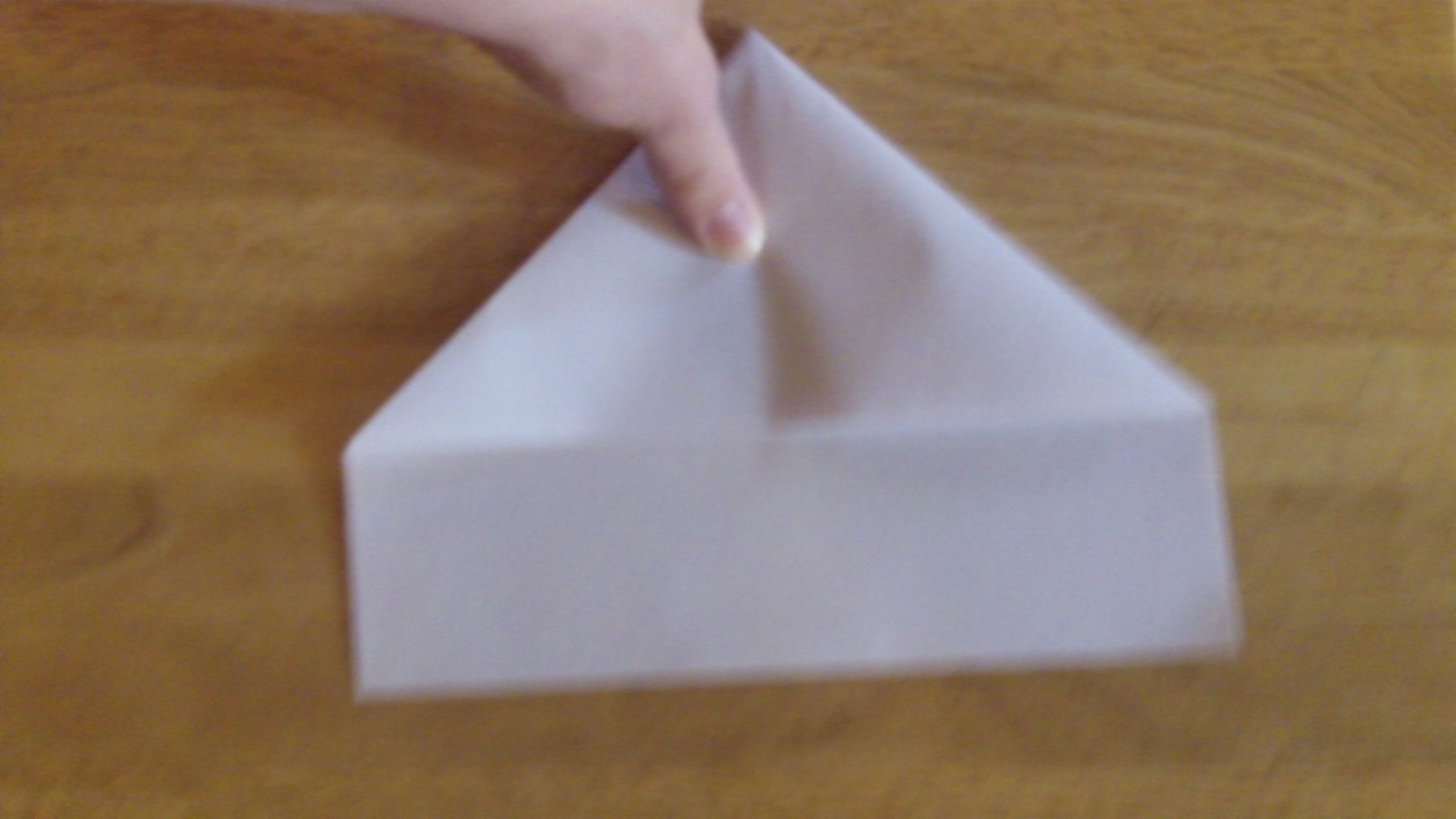 How to Make the Skyhawk Paper Airplane : 9 Steps - Instructables