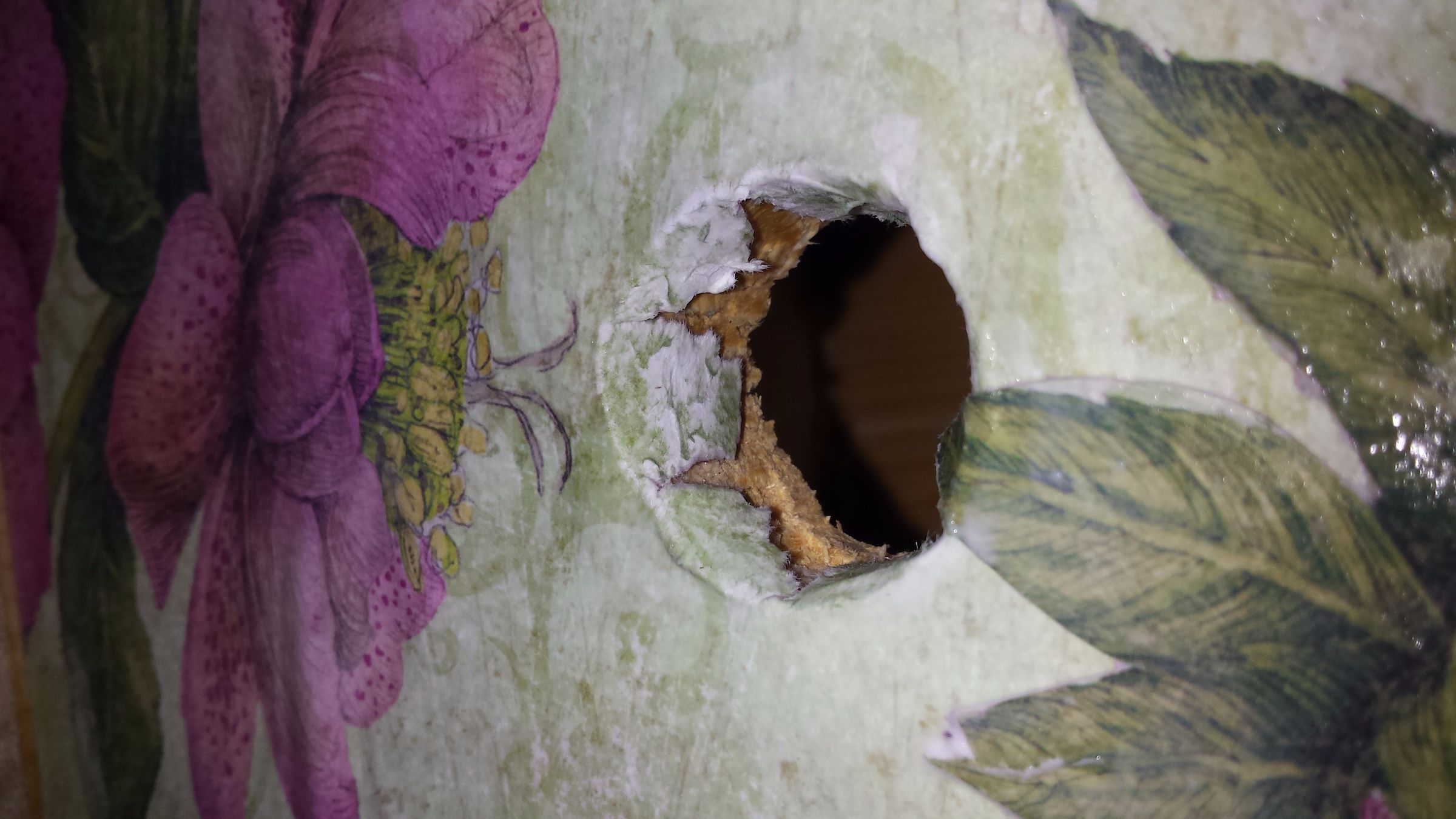 Scrapbook Paper Decorated Birdhouse : 6 Steps (with Pictures ...