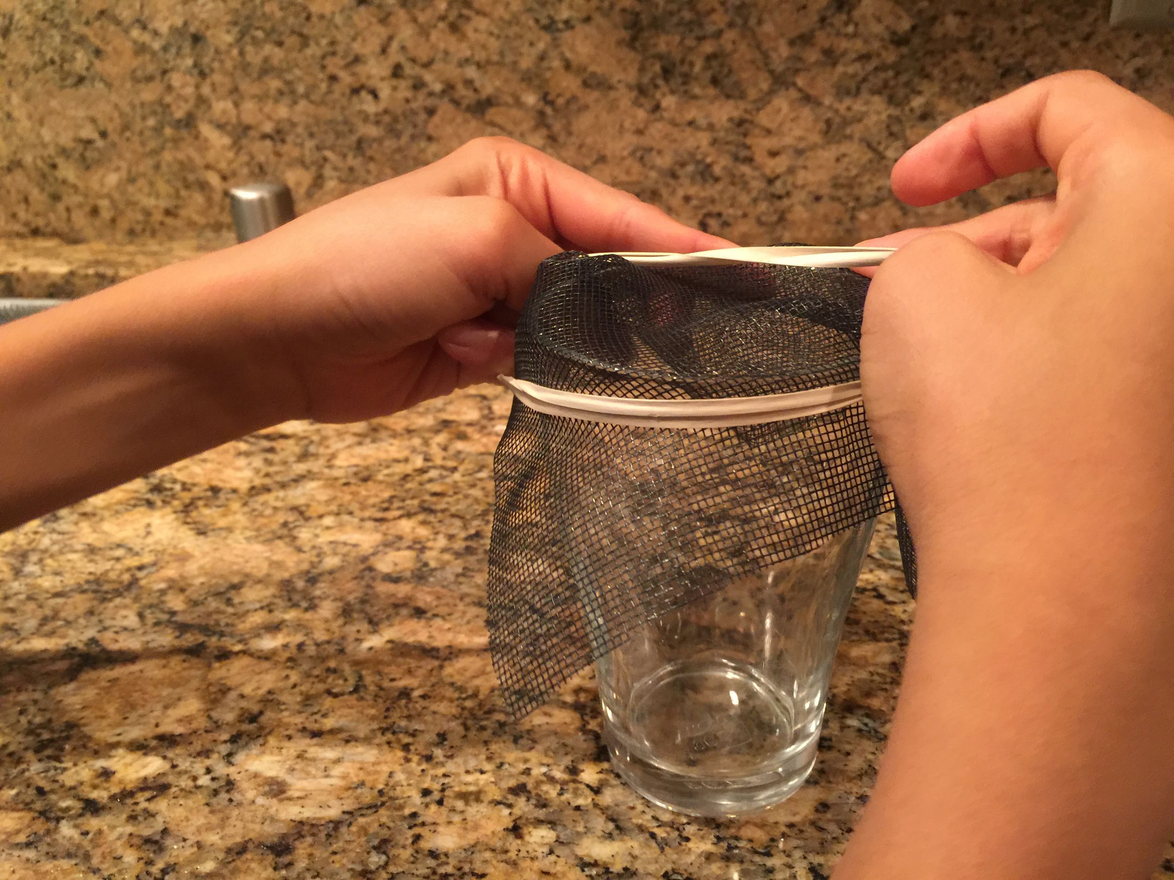 Surface Tension~Through Expirements : 4 Steps - Instructables