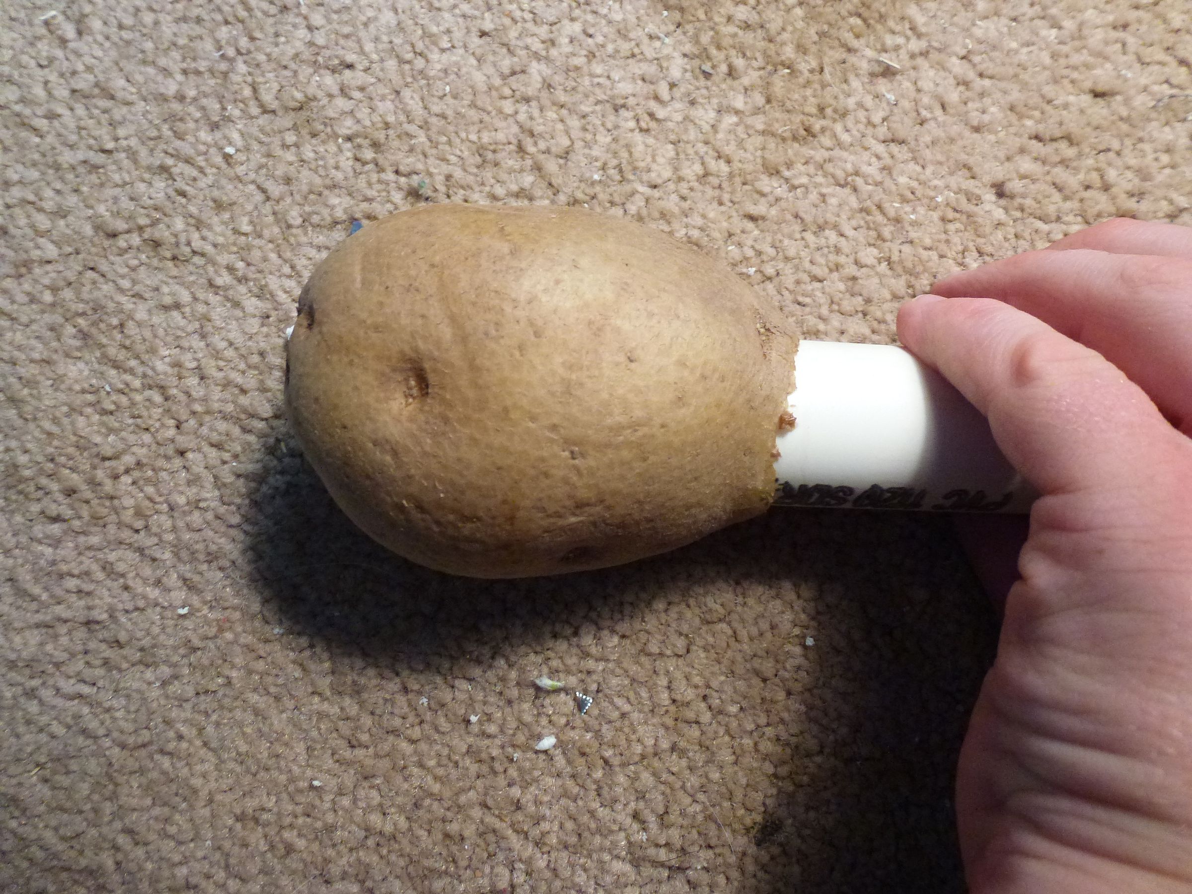 Potato Corks and Stoppers : 5 Steps - Instructables