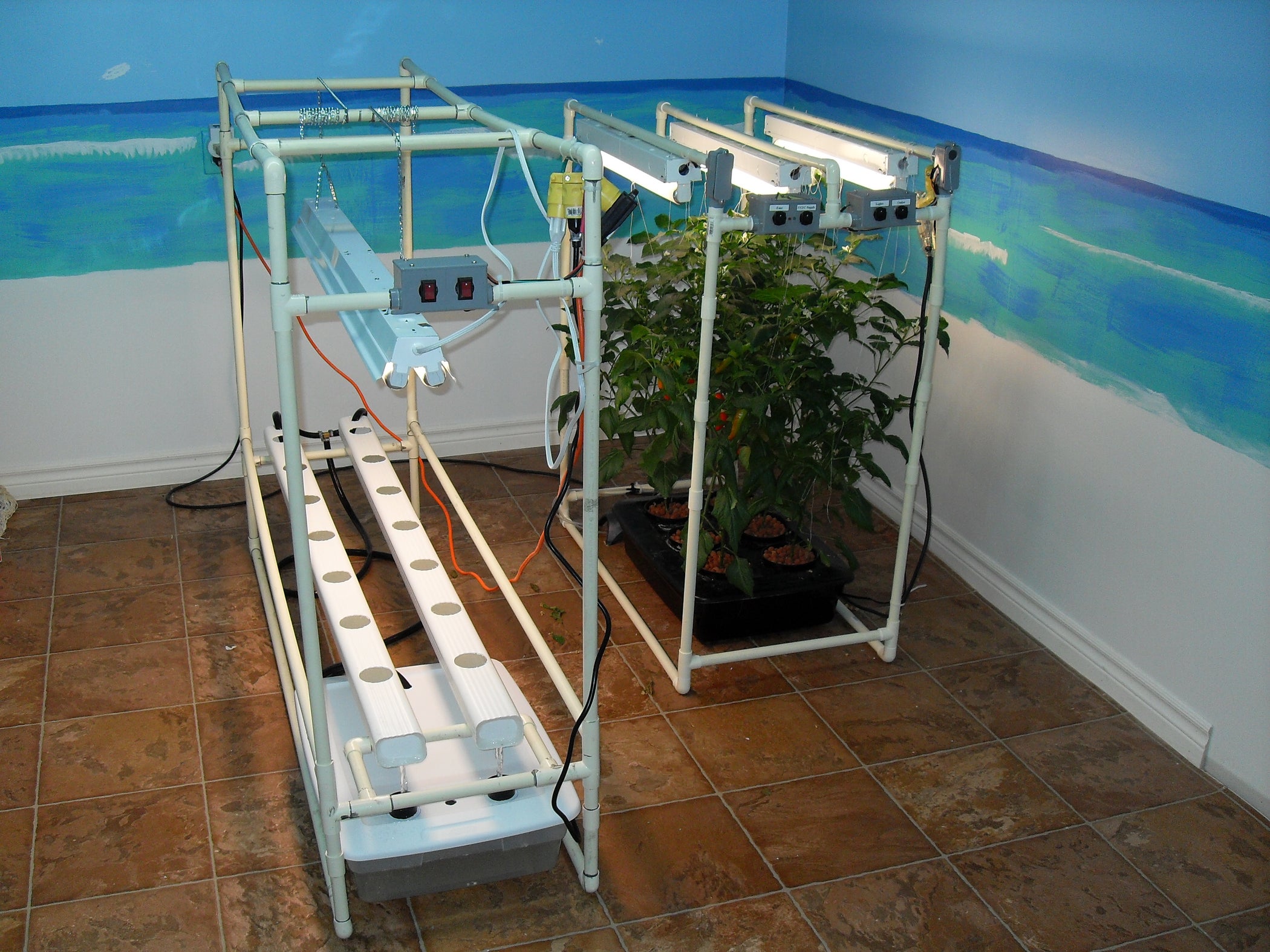 My Indoor Nft Hydroponics System Instructables