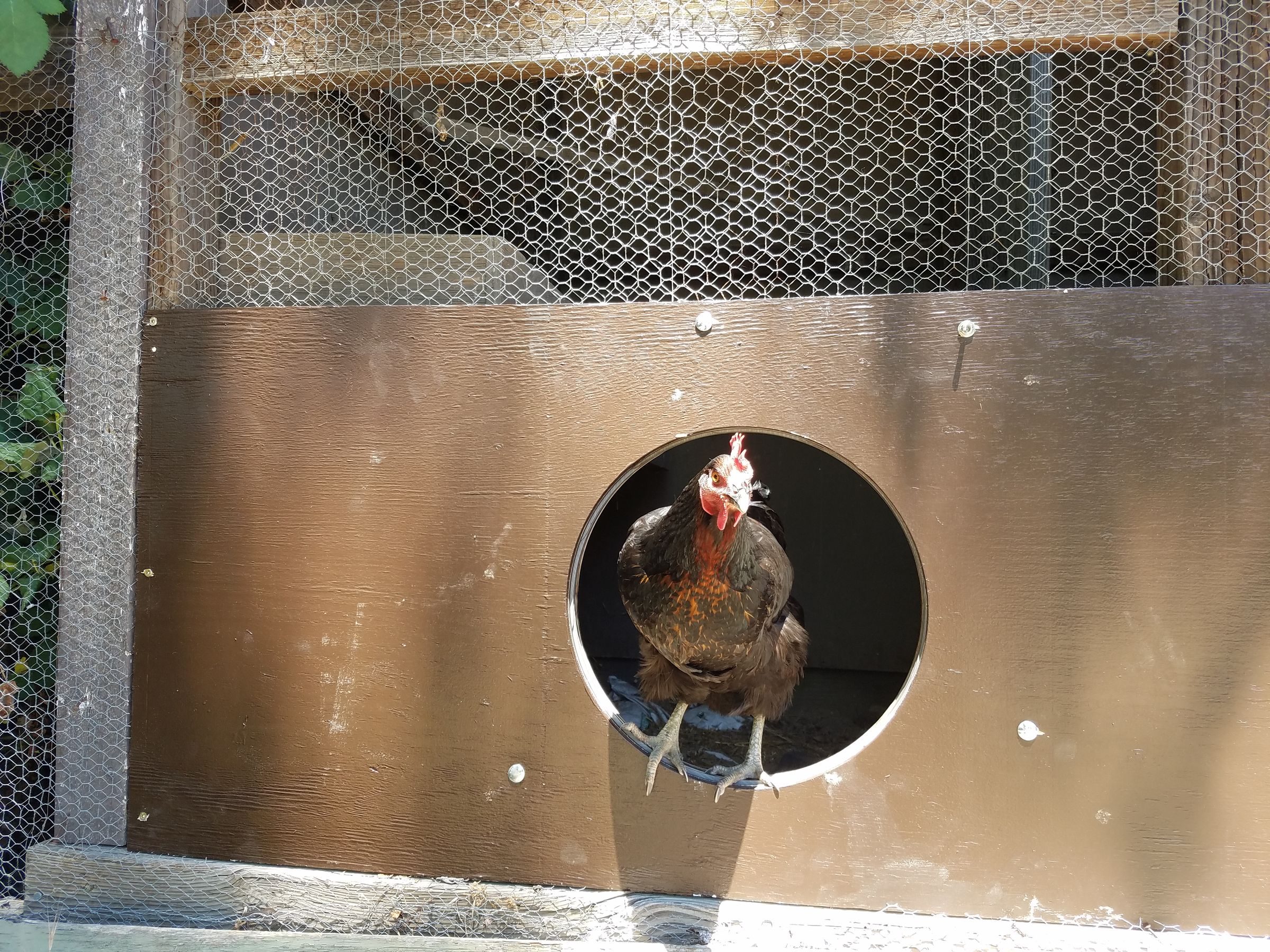 Mechanical Iris Door : 12 Steps (with Pictures) - Instructables