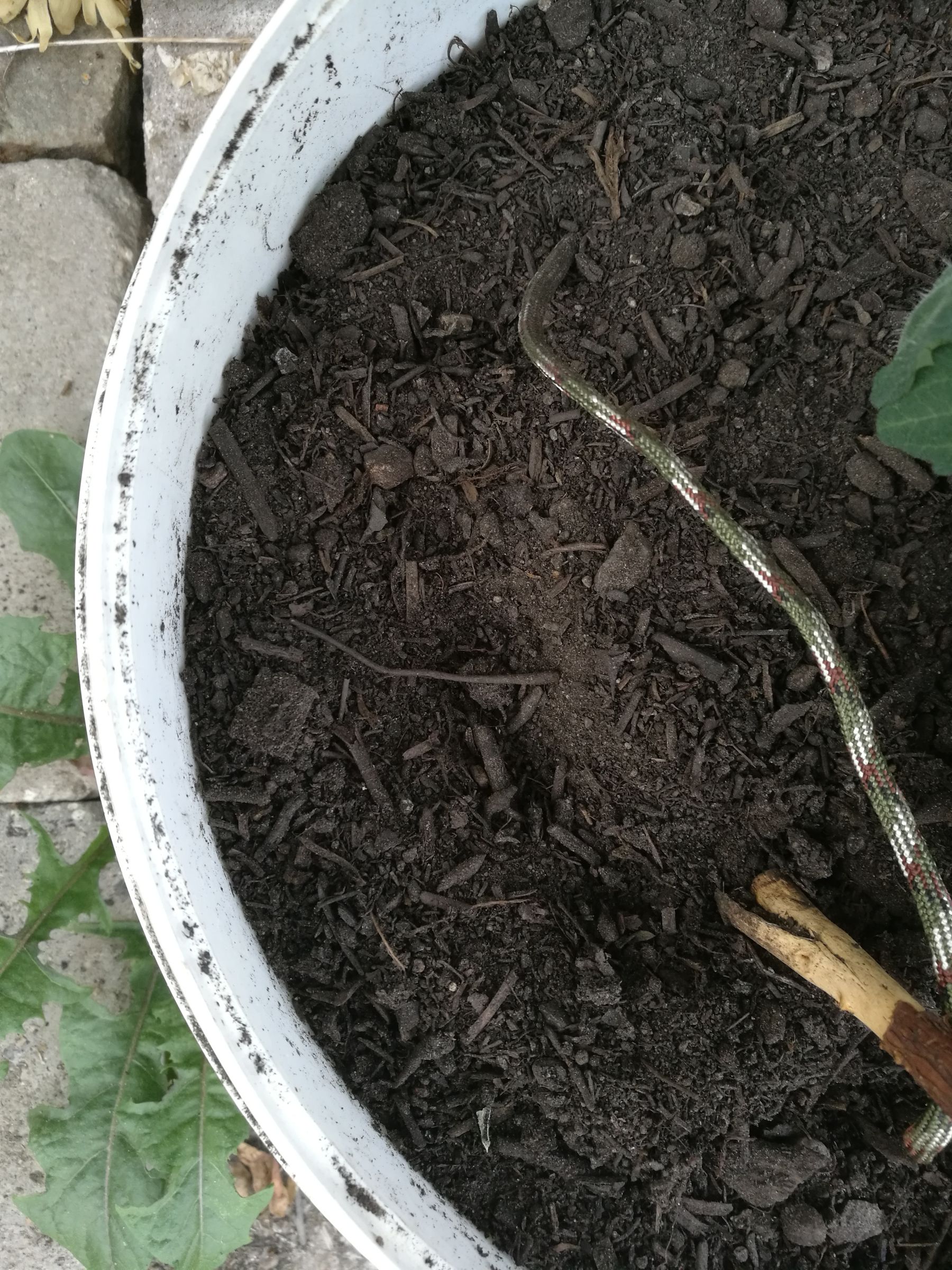 Simple Wicking System : 4 Steps - Instructables