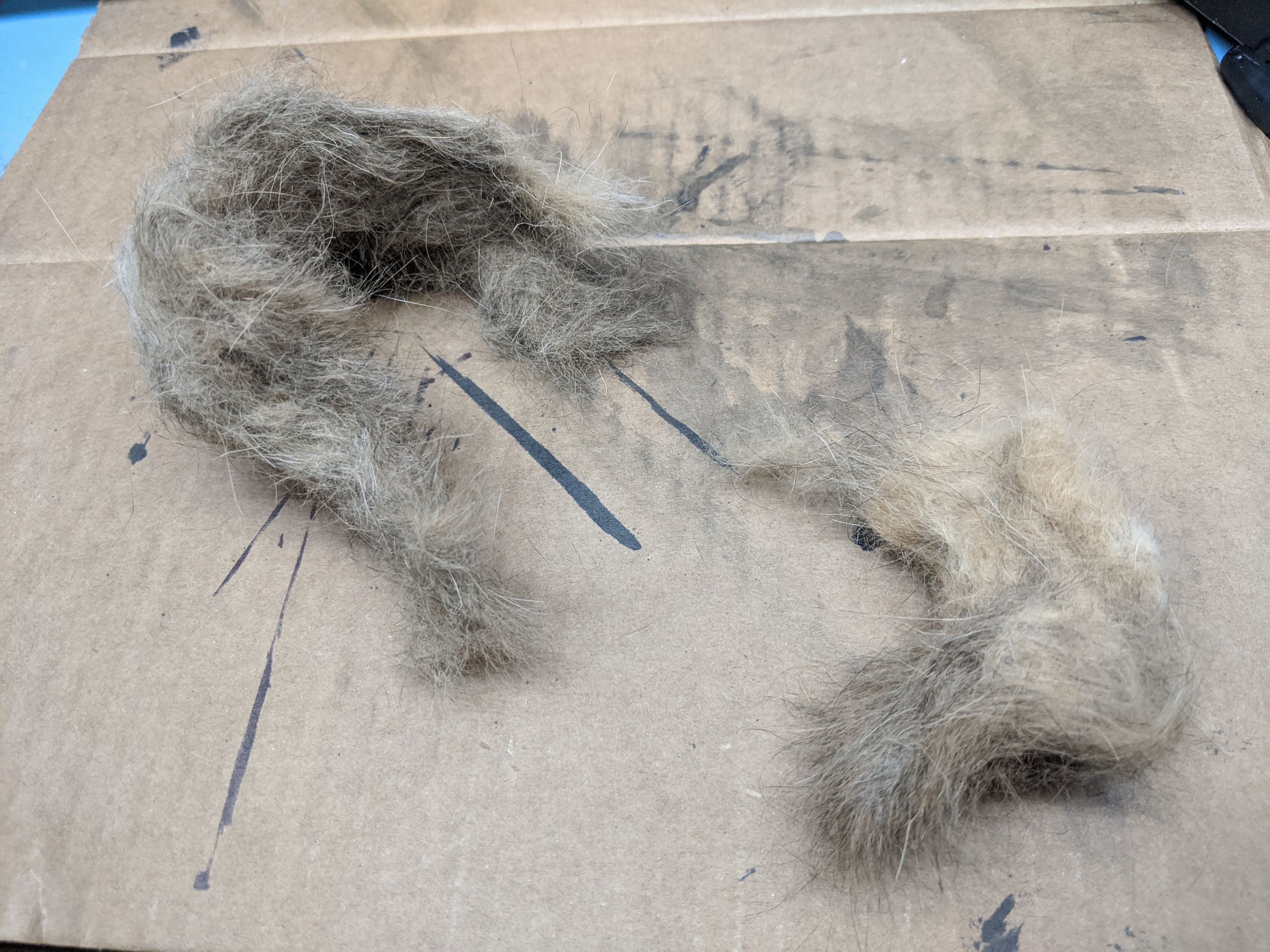 Felted Cat Fur Cat Hat : 3 Steps (with Pictures) - Instructables