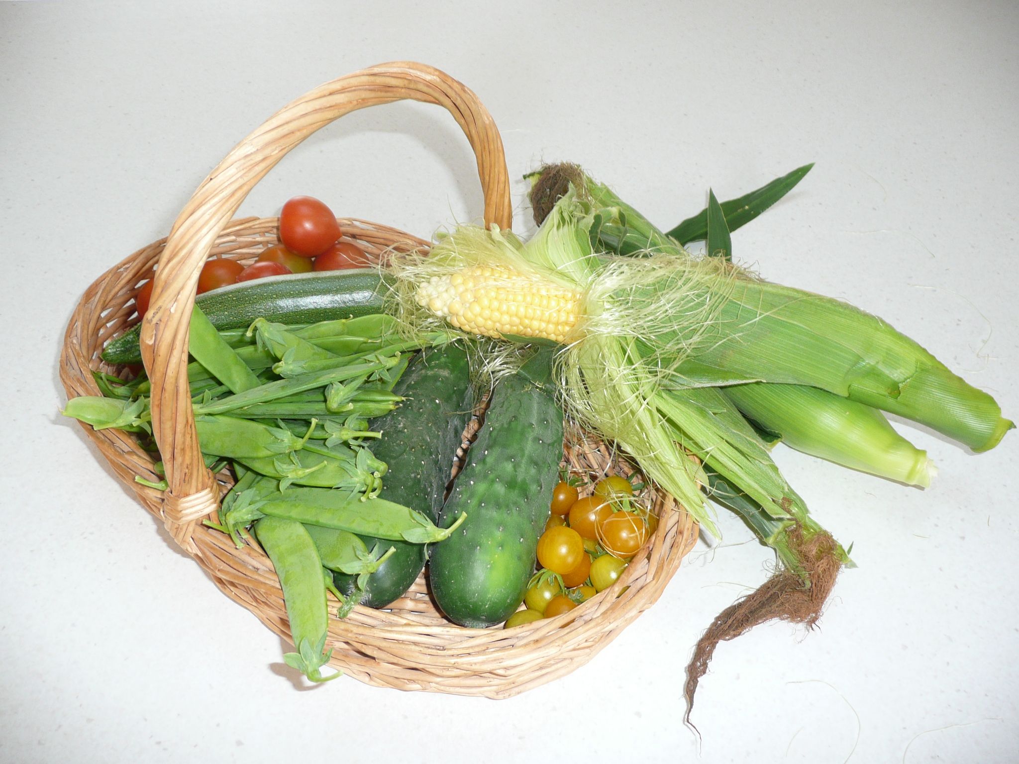 Fully-enclosed Crop-rotation Veggie Garden (with Pictures) - Instructables