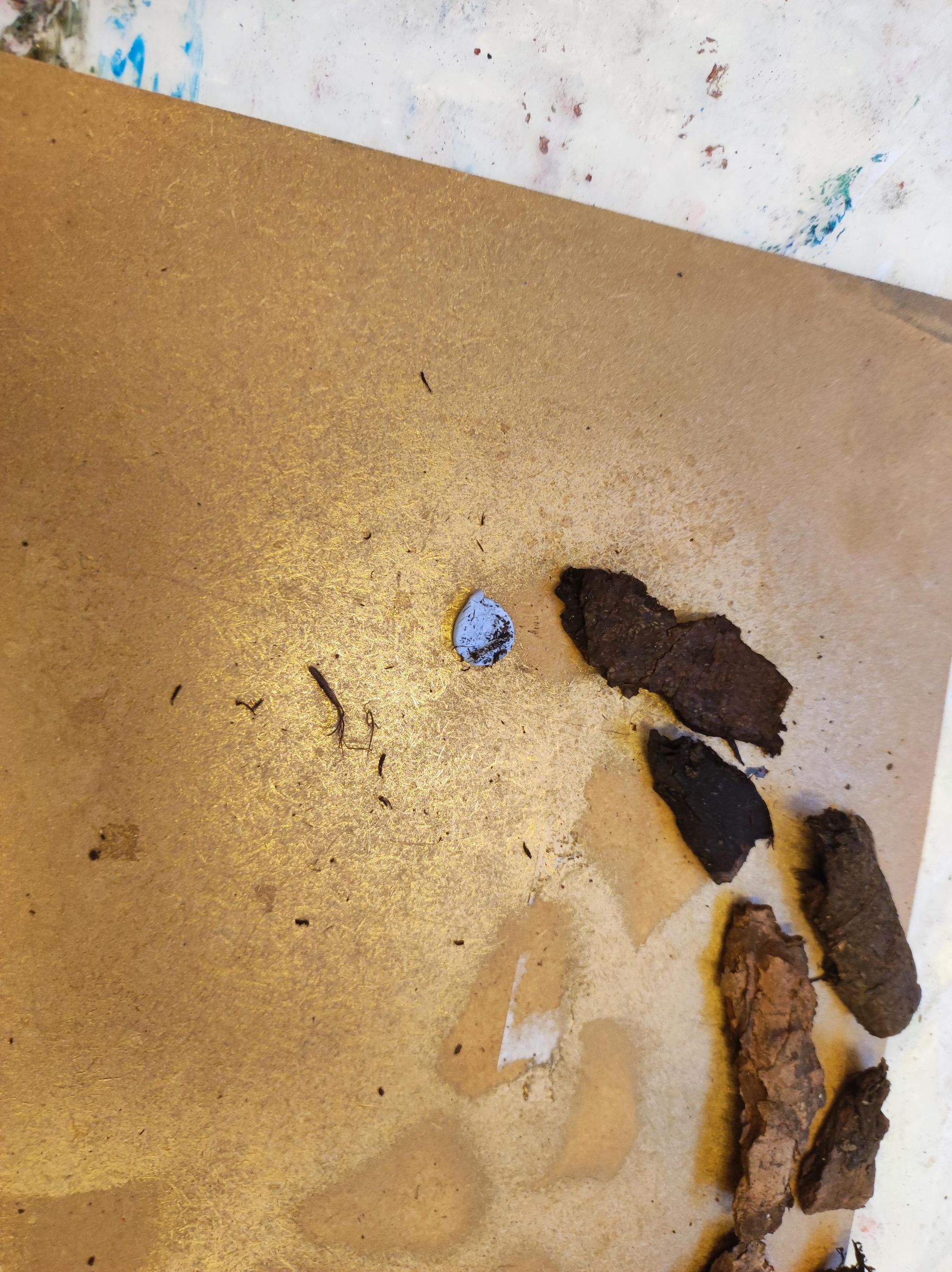 Tree Bark Art : 4 Steps (with Pictures) - Instructables