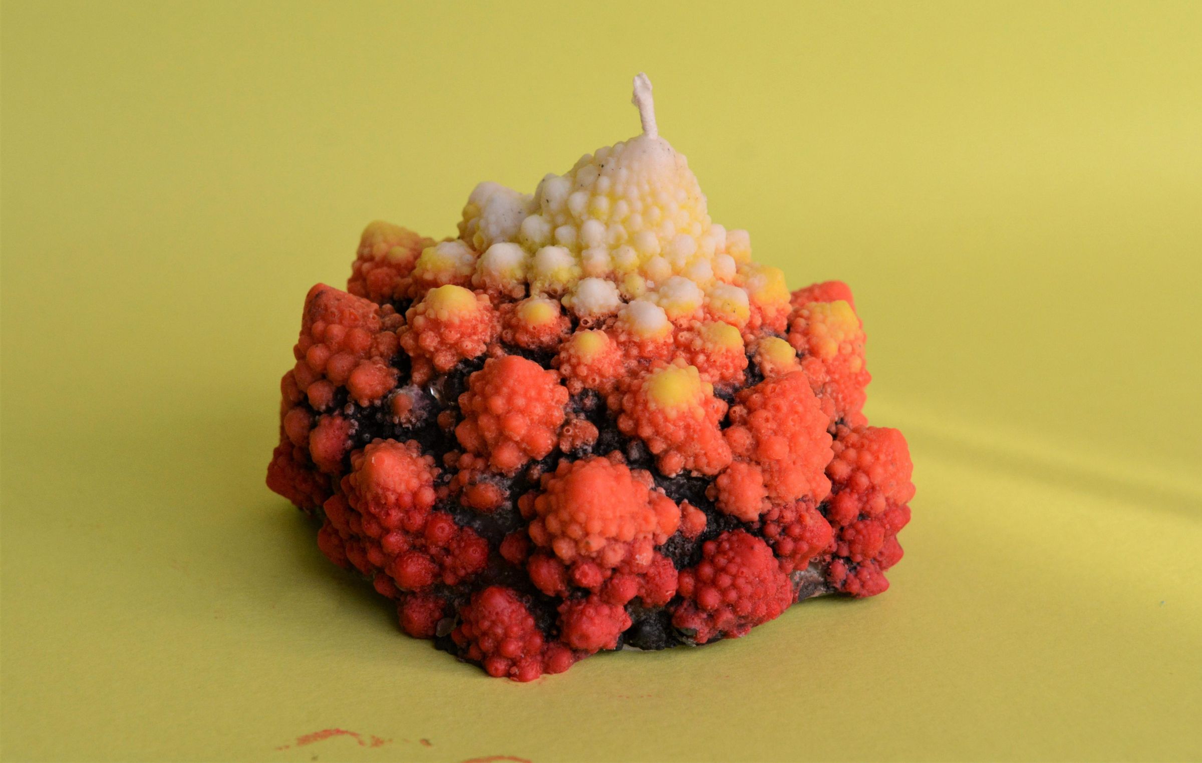 Turn Romanesco Broccoli Into a Candle : 17 Steps (with Pictures ...