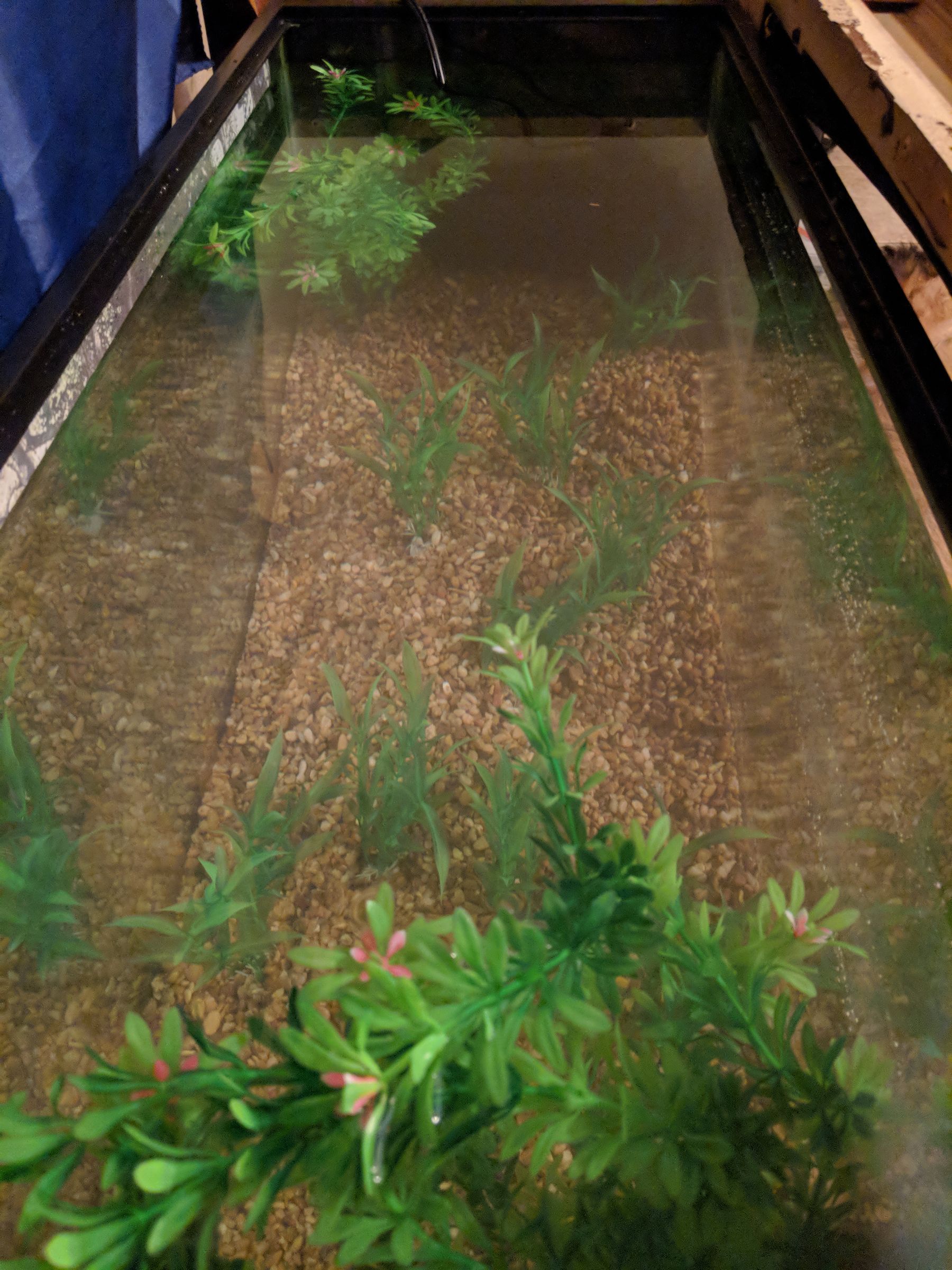 Build a TV Fish Tank : 6 Steps (with Pictures) - Instructables