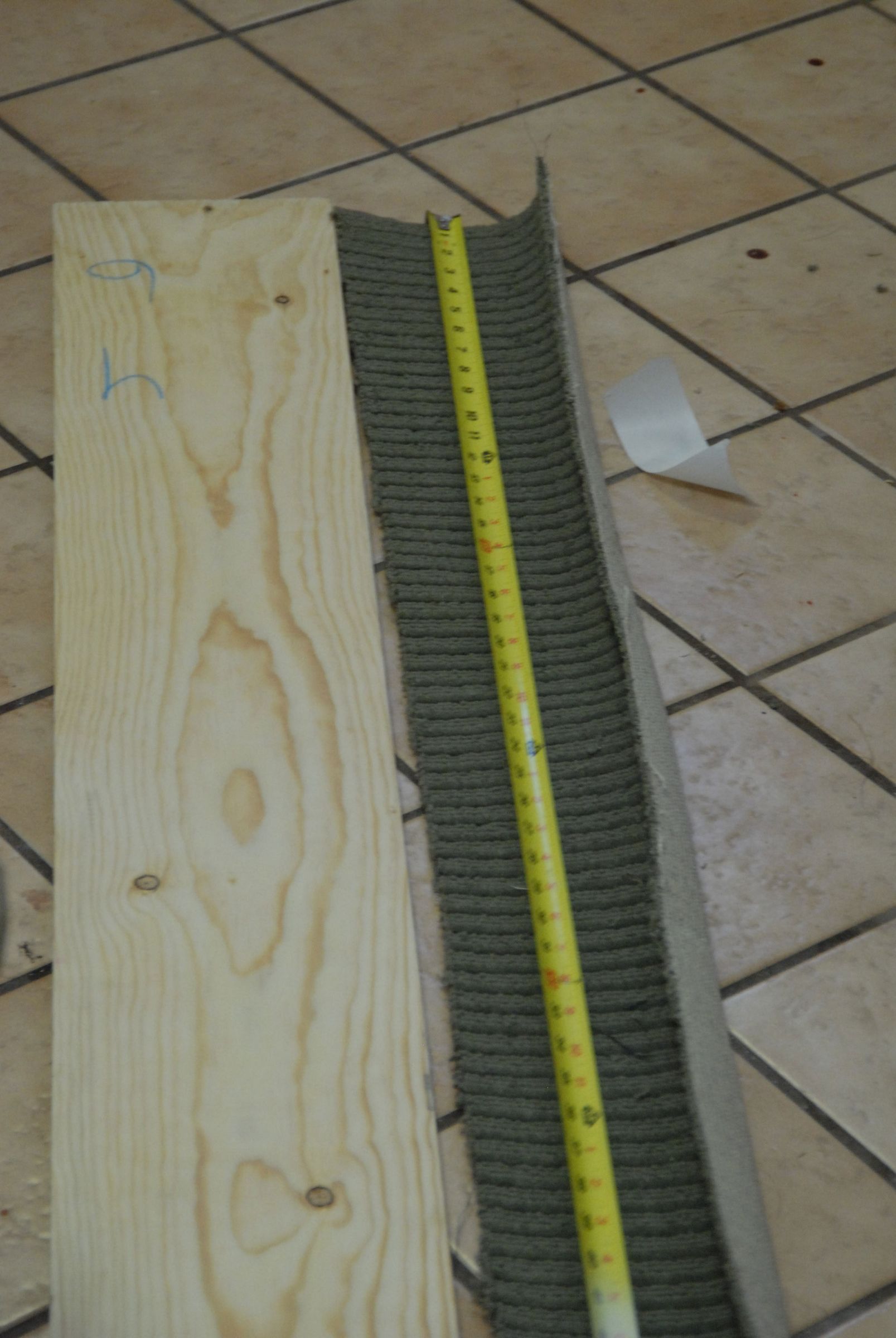 Cat Enclosure - Tunnel, Save Space ('CatWalk Is My Road' - AKahn ...