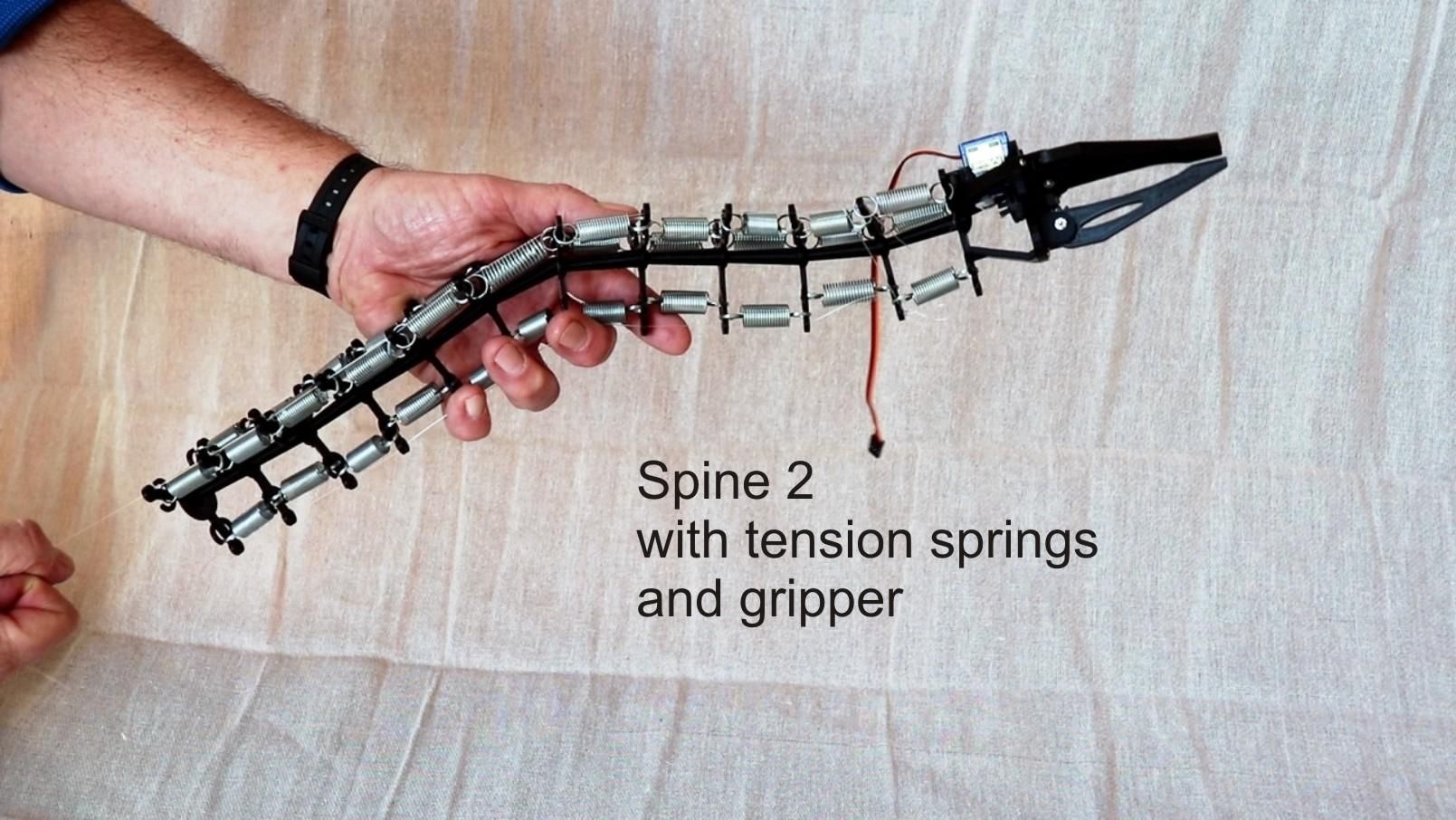 Spine-like Robot Arm With Gripper : 7 Steps (with Pictures) - Instructables