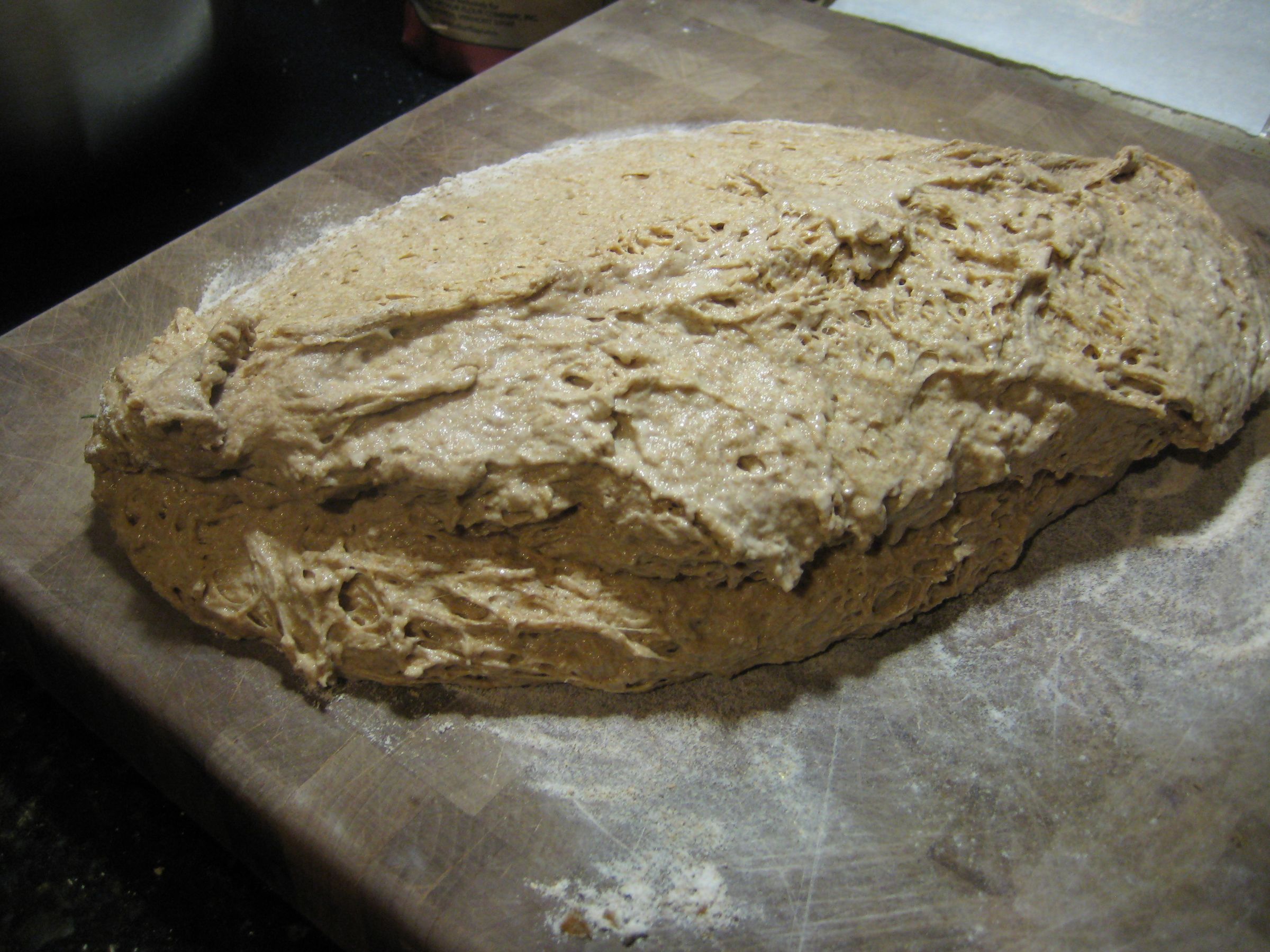 100% Whole Wheat Crusty No Knead Artisan Bread : 9 Steps (with Pictures ...