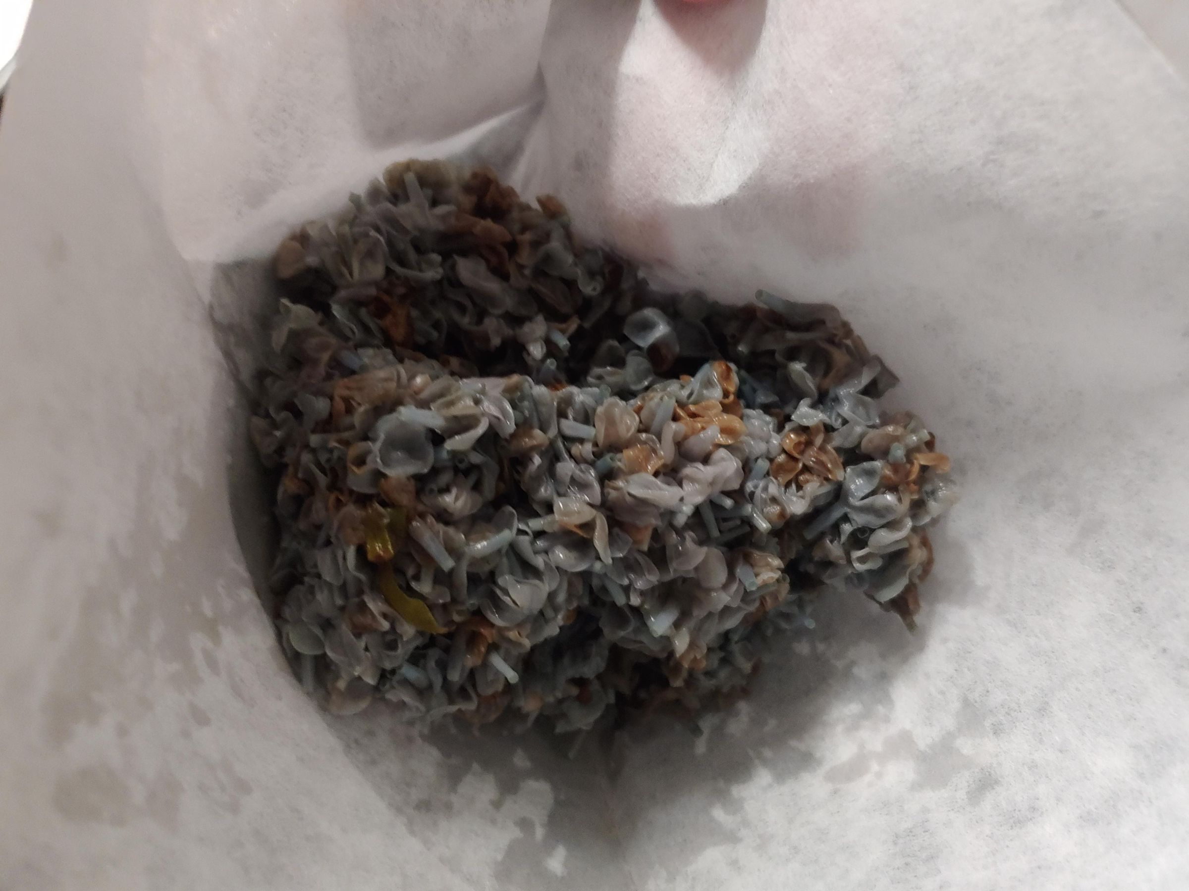 Color Changing Lilac Jelly : 4 Steps (with Pictures) - Instructables