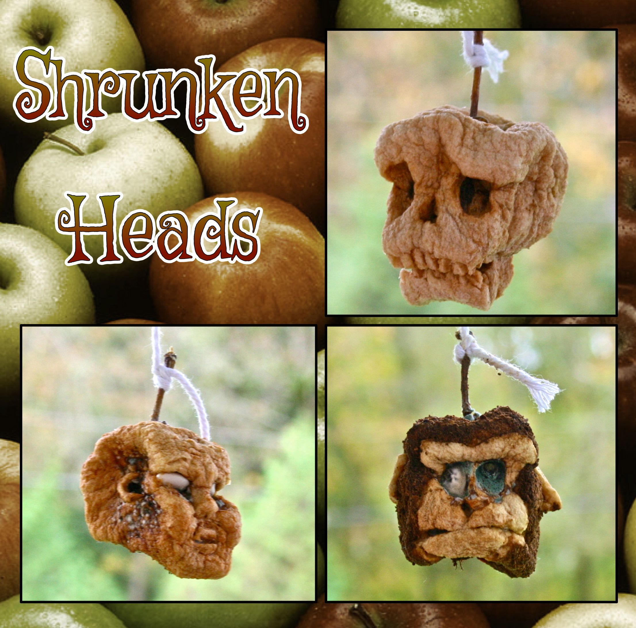 Shrunken Apple Heads : 4 Steps - Instructables
