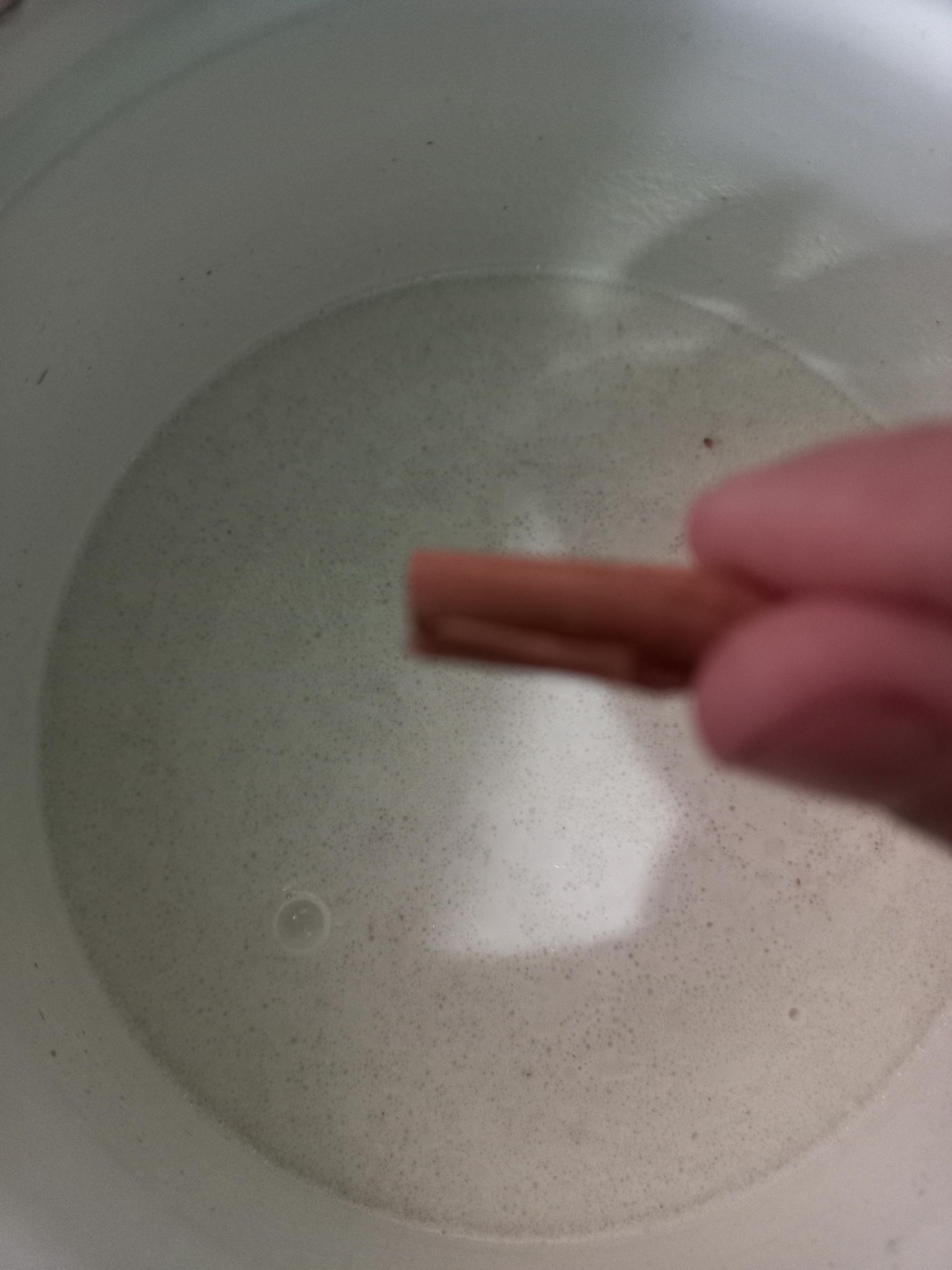 Sugar Free Egyptian Rice Pudding With Date and Cinnamon ( Roz Bel Laban ...