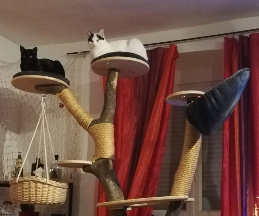 Natural Cat Tree : 7 Steps - Instructables