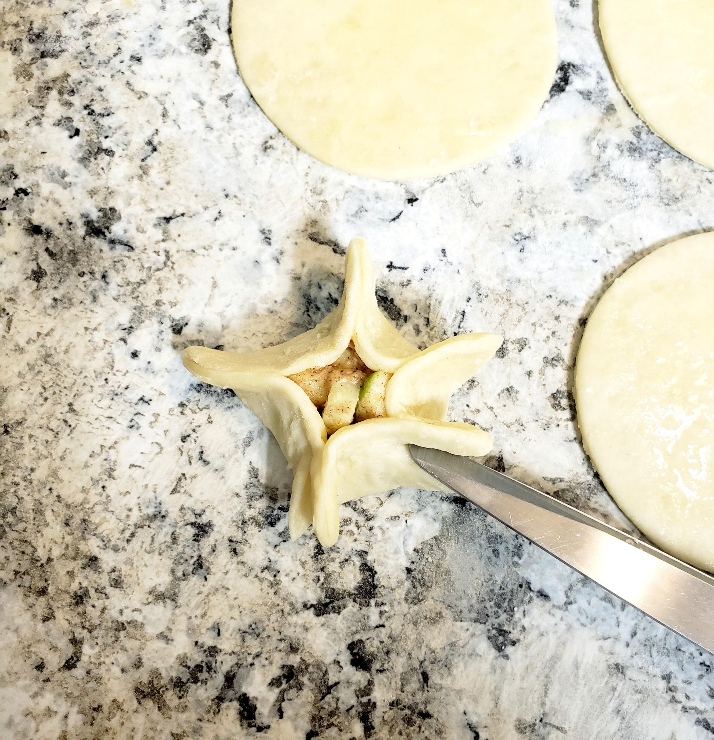 Floral Pinch Pies : 17 Steps (with Pictures) - Instructables