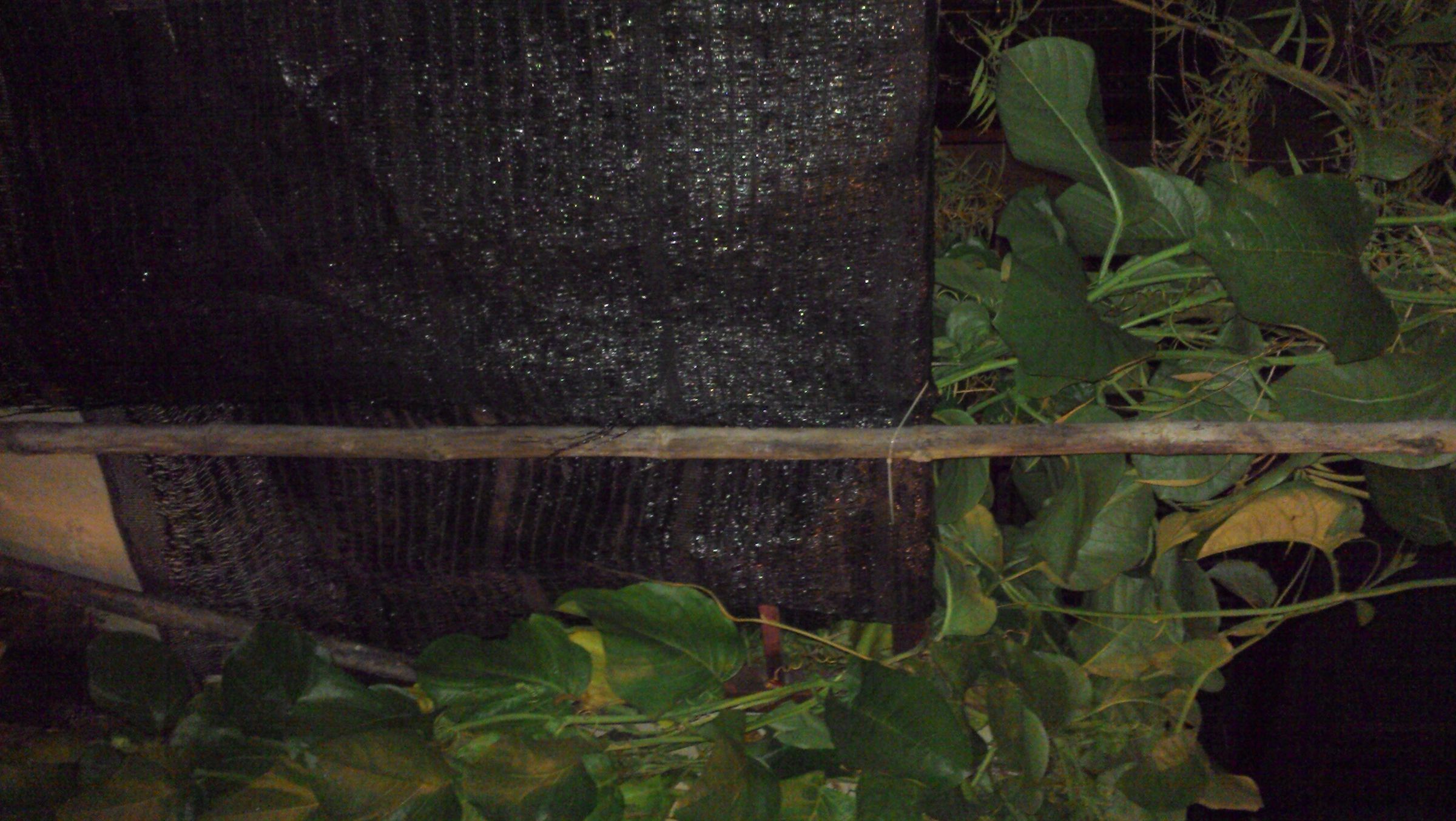 Zero Cost Watering System : 9 Steps (with Pictures) - Instructables
