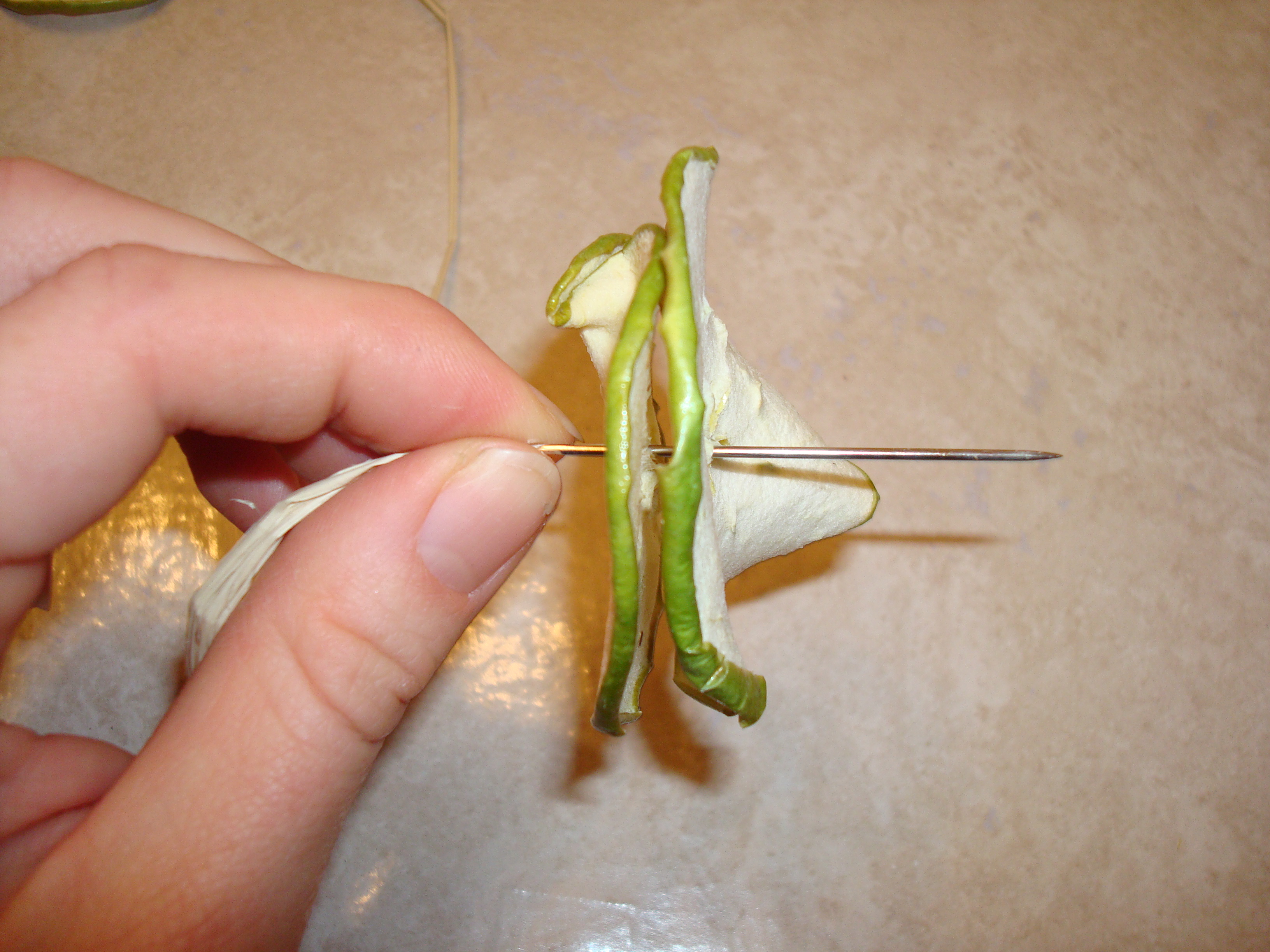 Delightfully Dehydrated Garland : 8 Steps (with Pictures) - Instructables