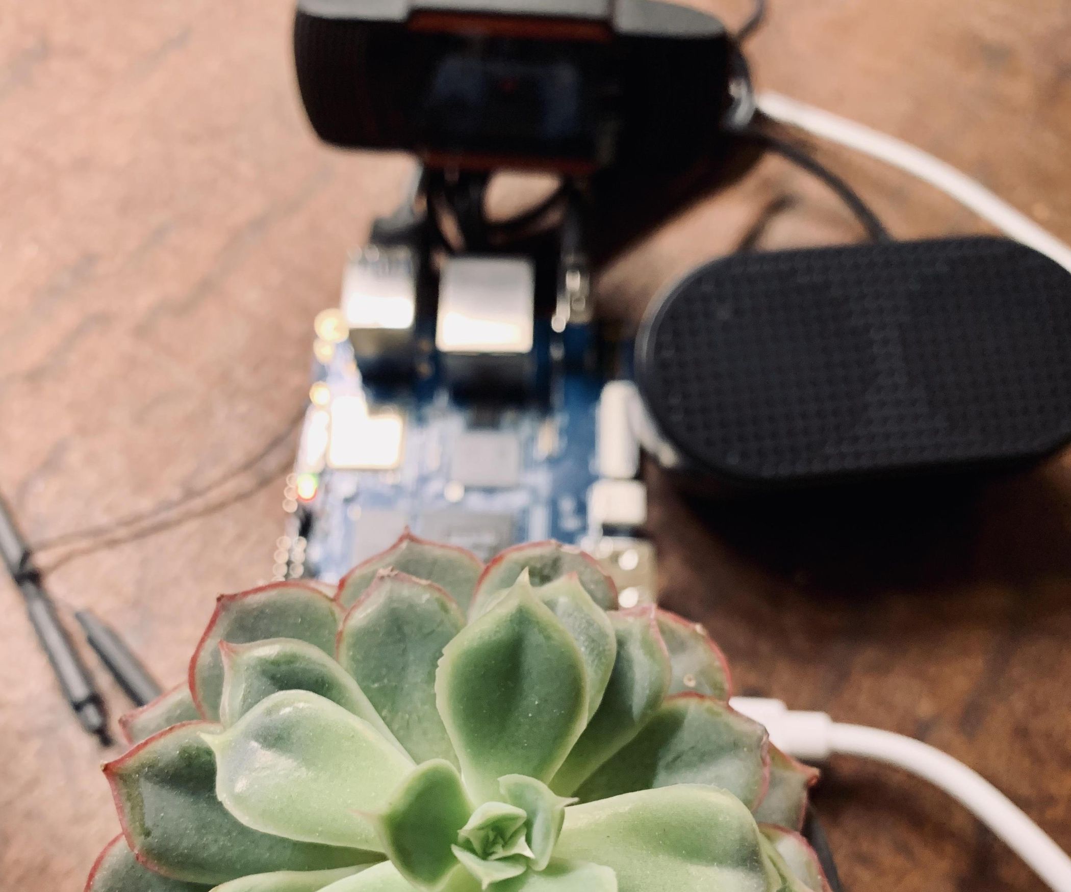 Practical AI - a Local LLM and Machine Learning for Plant Care (in Less Than 50 Lines of Code ...