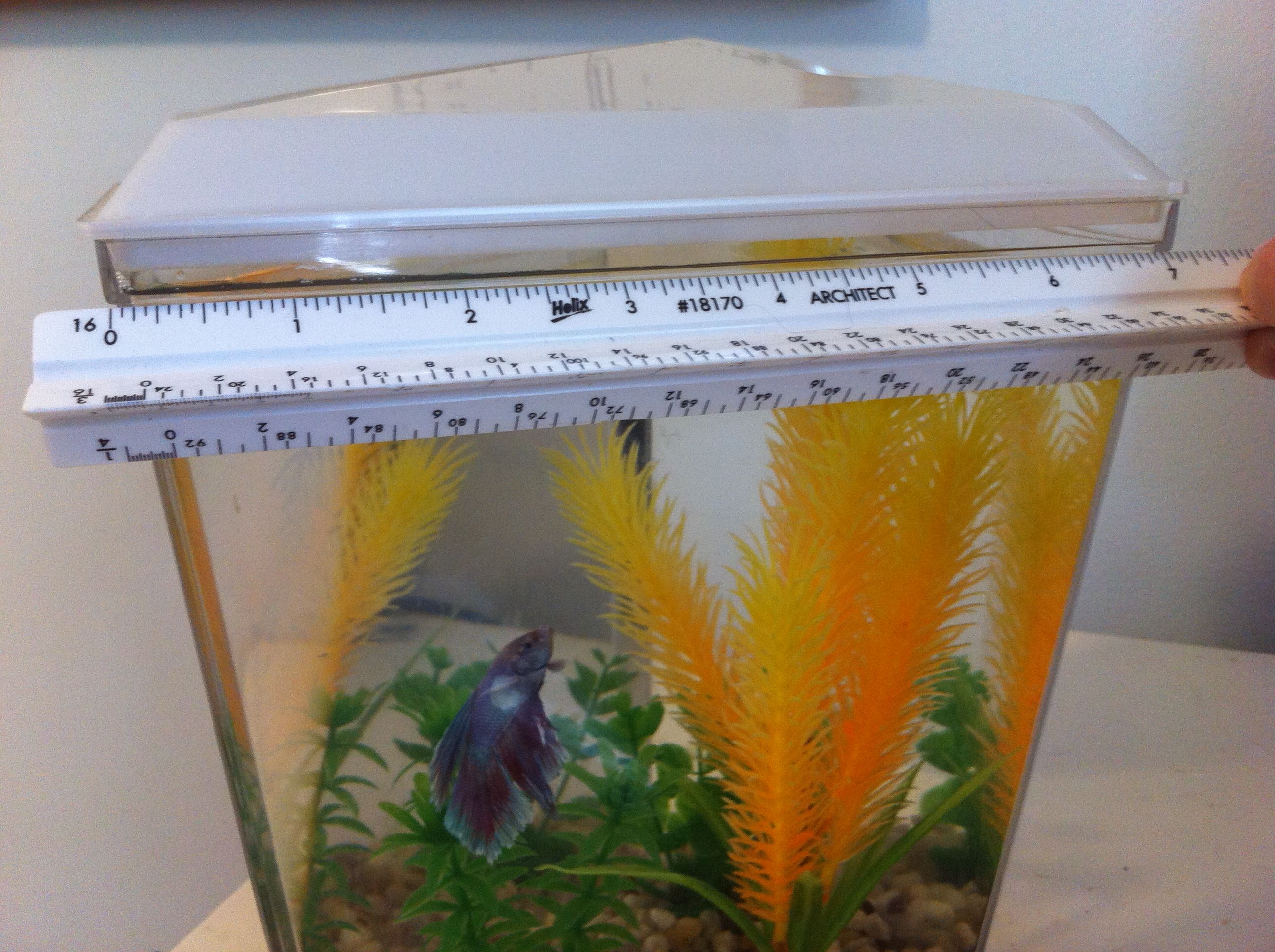 Colorful Fish-tank Backgrounds : 11 Steps - Instructables