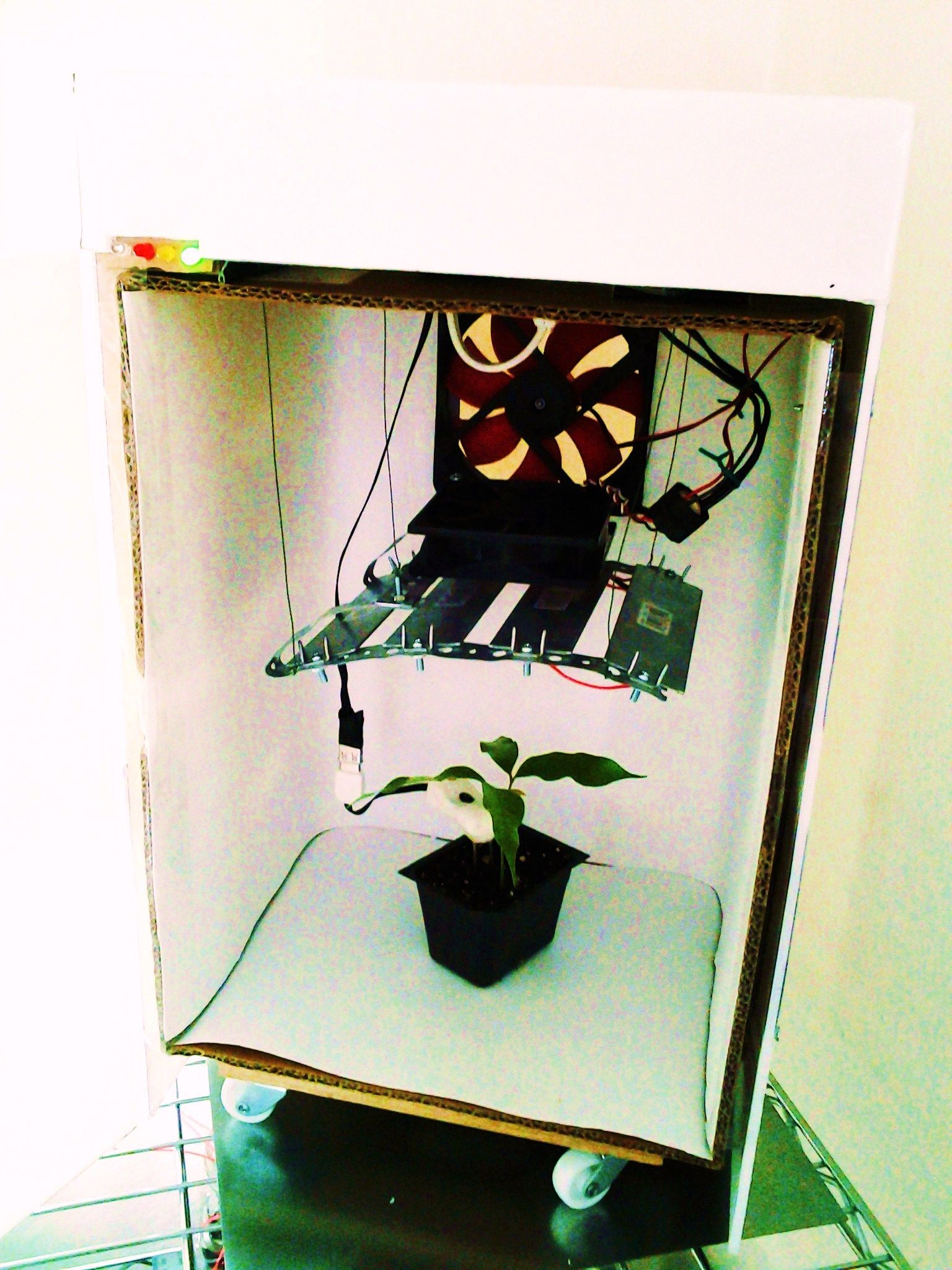 The Plant Box : 6 Steps - Instructables