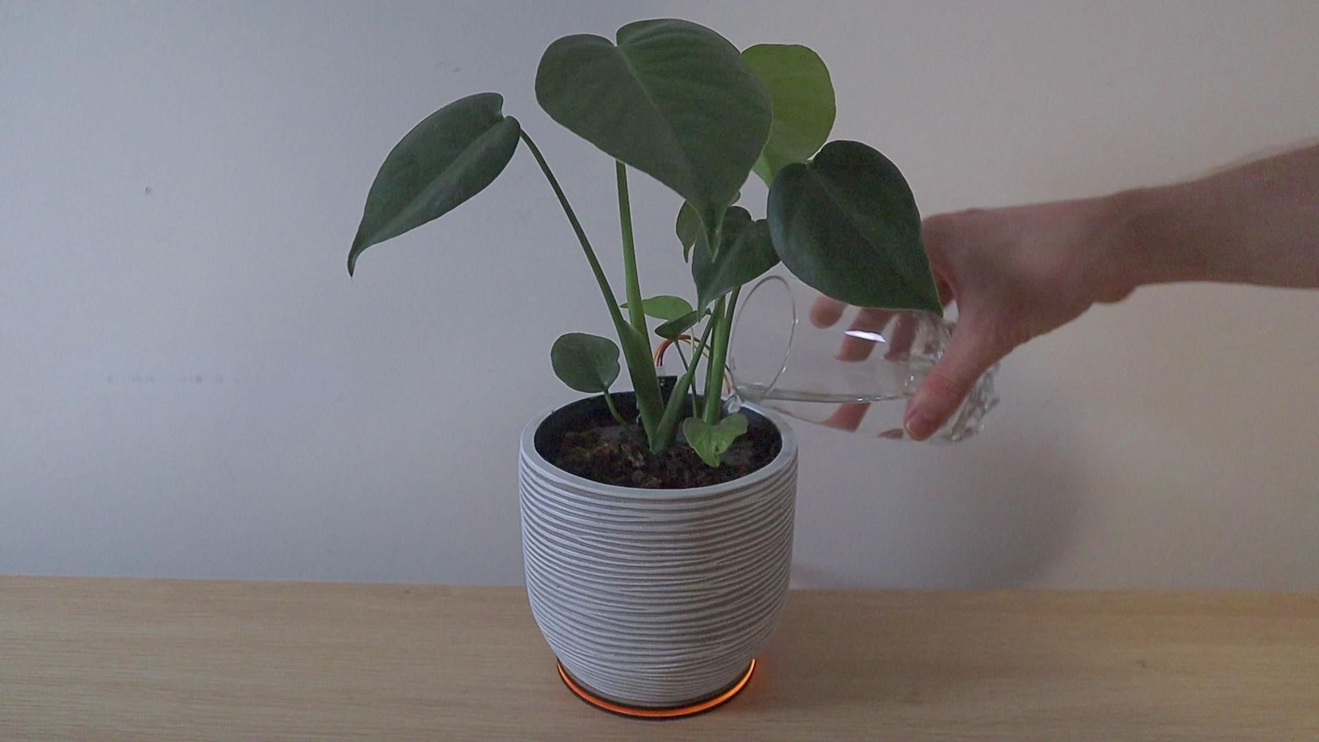 Smart Indoor Plant Monitor - Know When Your Plant Needs Watering : 8 ...