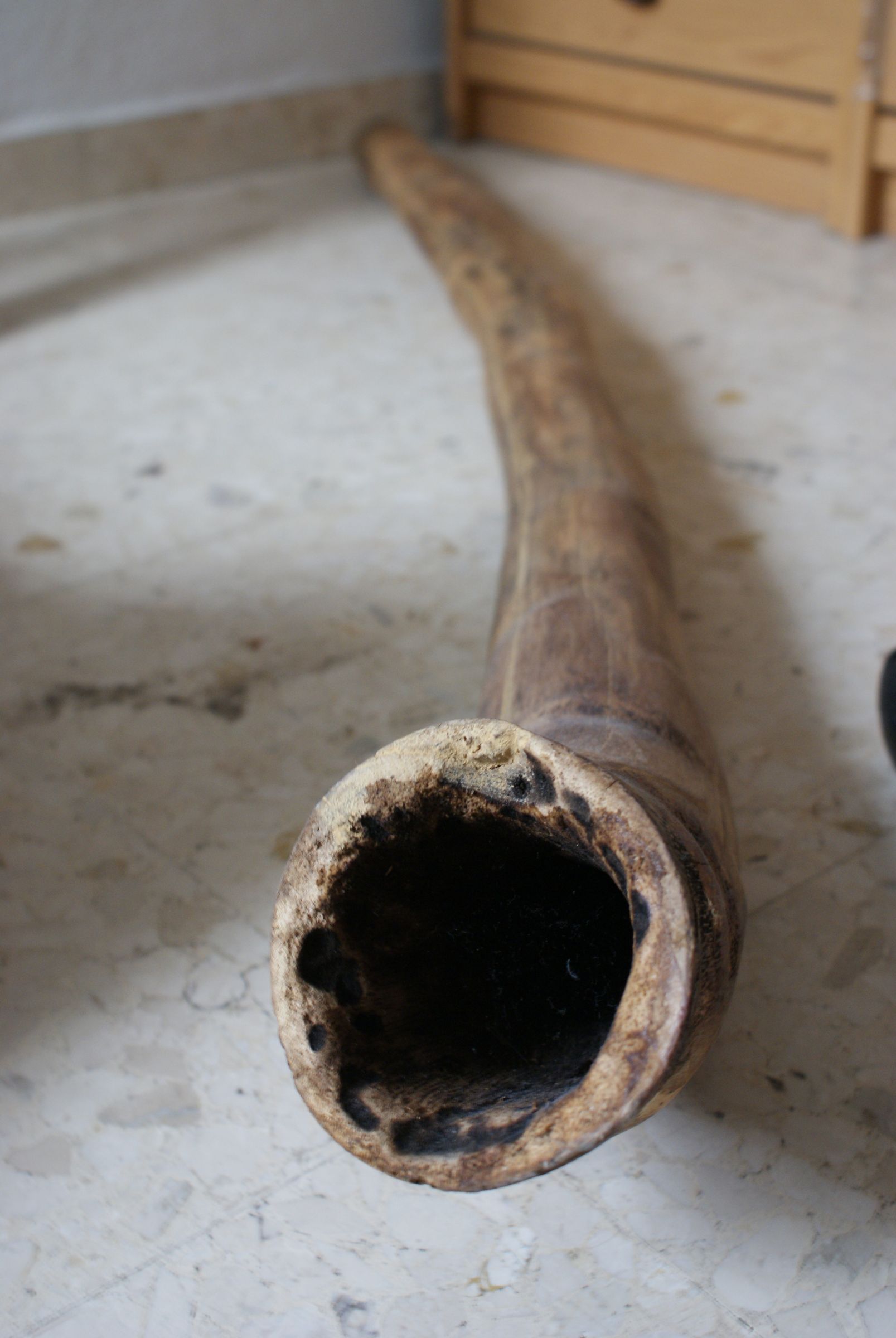The Ultimate Didgeridoo Guide. : 5 Steps - Instructables